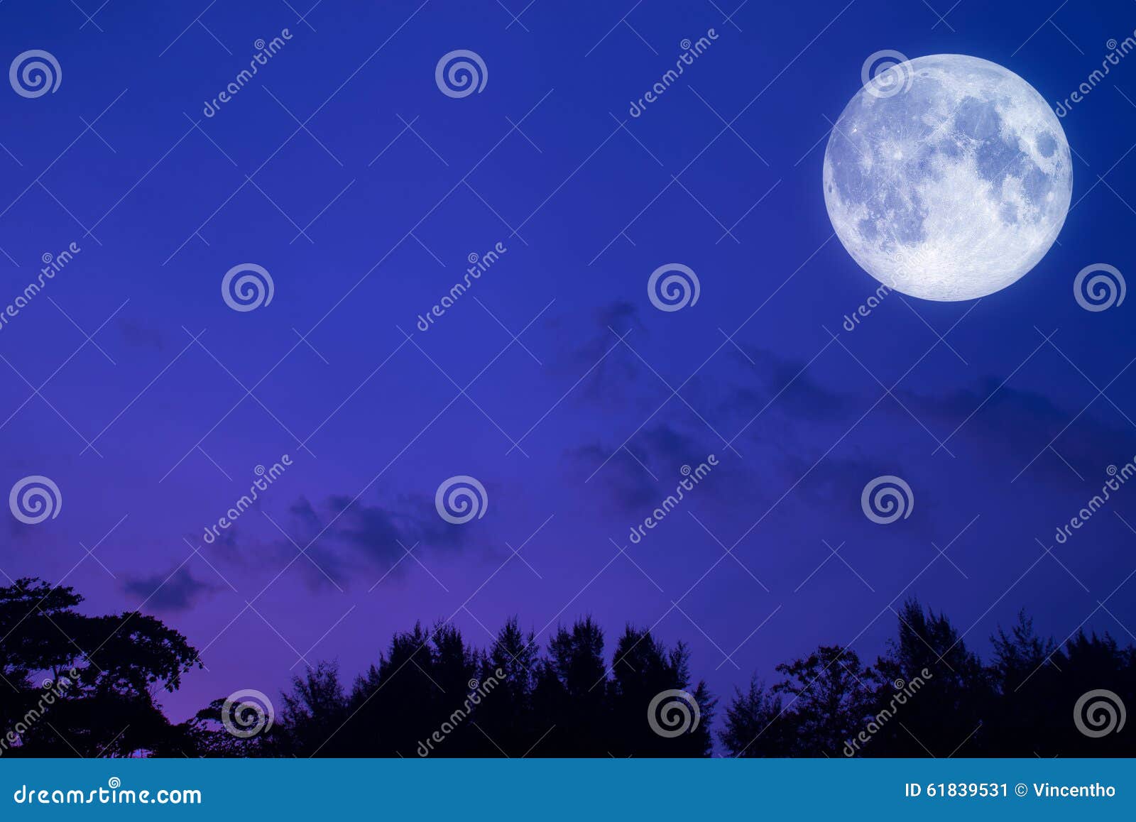 Noite Forest Landscape Background Da Lua Cheia Imagem de Stock - Imagem ...