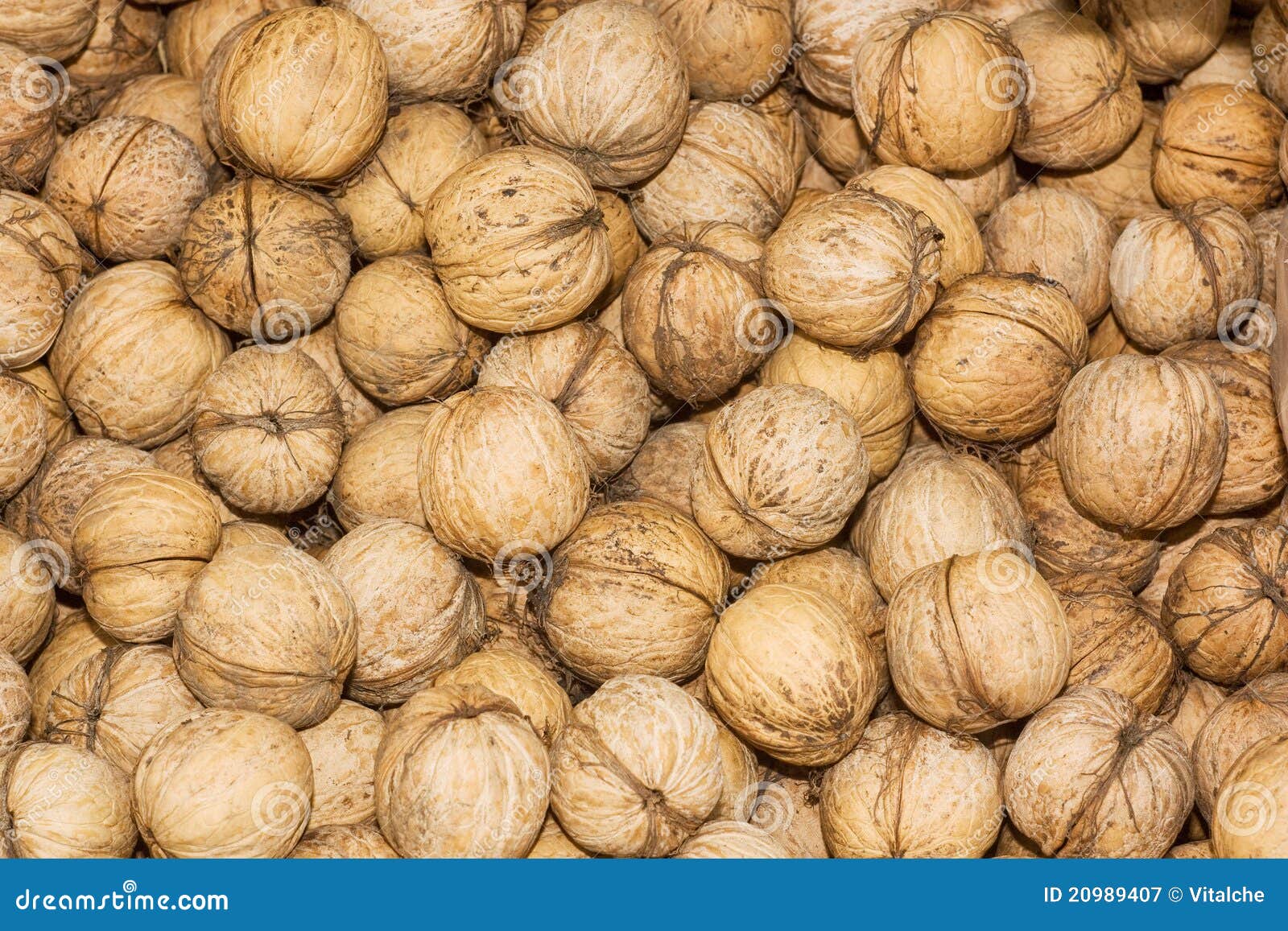 Noix image stock. Image du closeup, shell, fond, délicieux - 20989407