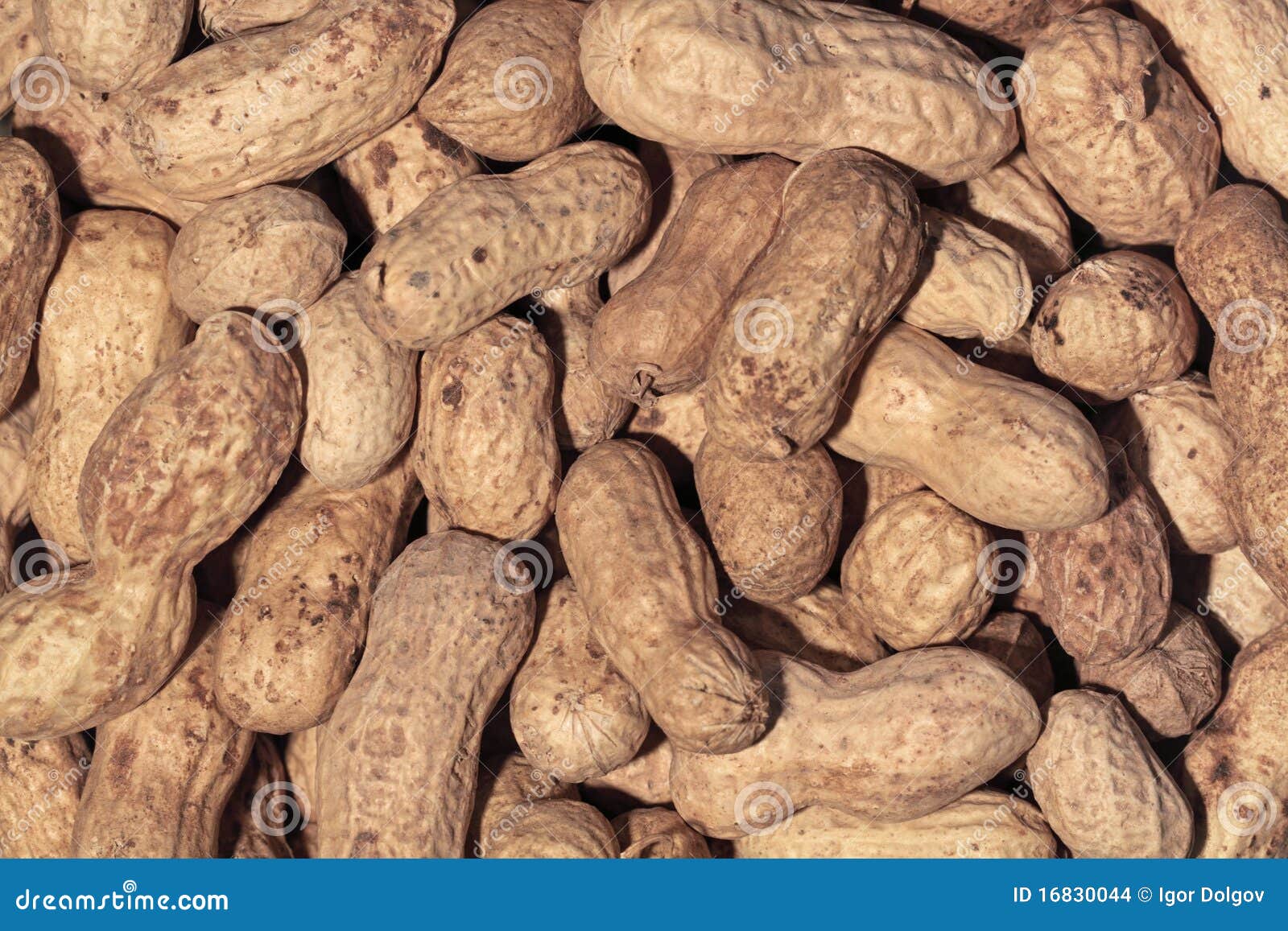 Noix d'arachide photo stock. Image of horizontal, nutshell - 16830044
