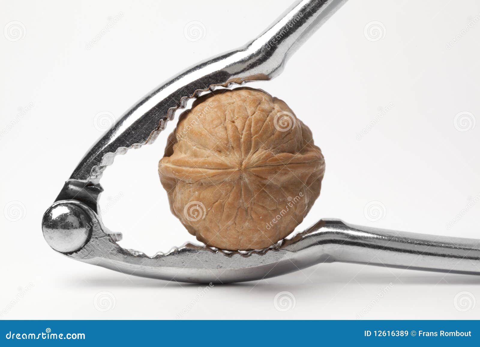 Noix dans un casse-noix image stock. Image du fissure - 12616389