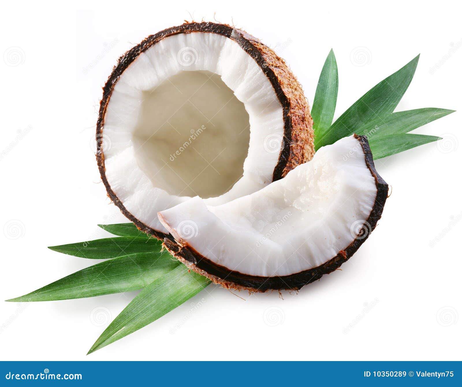 Noix de coco image stock. Image du image, nature, rond - 10350289