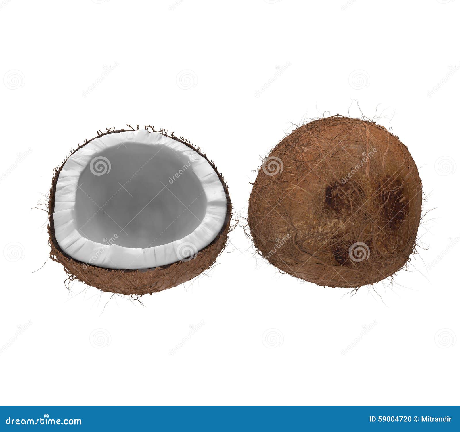 Noix de coco Front View photo stock. Image du demi, exotique - 59004720