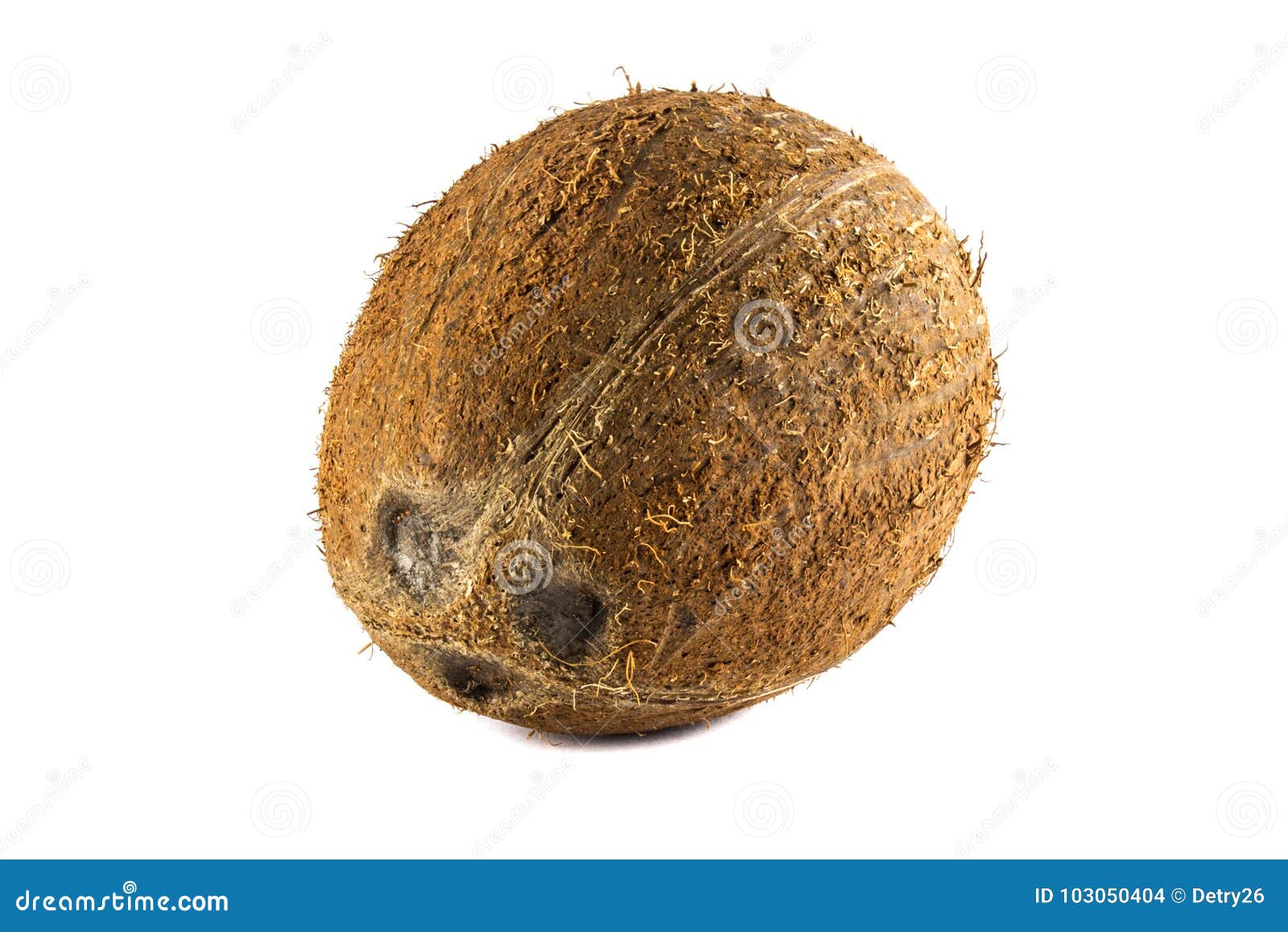 Noix De Coco De Fruit Tropical D'isolement Photo stock - Image du ...