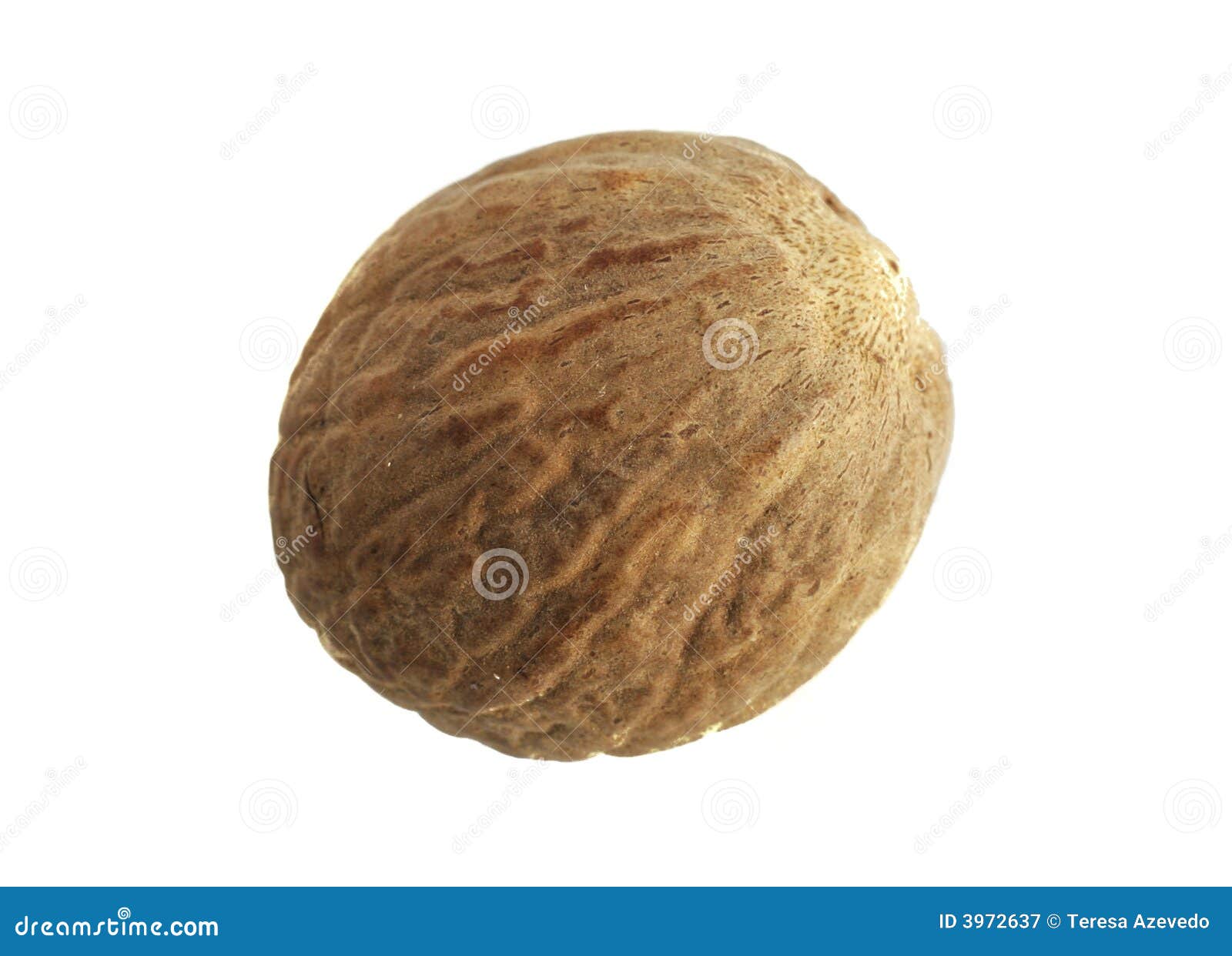 Noix de muscade image stock. Image du nutmeg, graine, isolement - 3972637