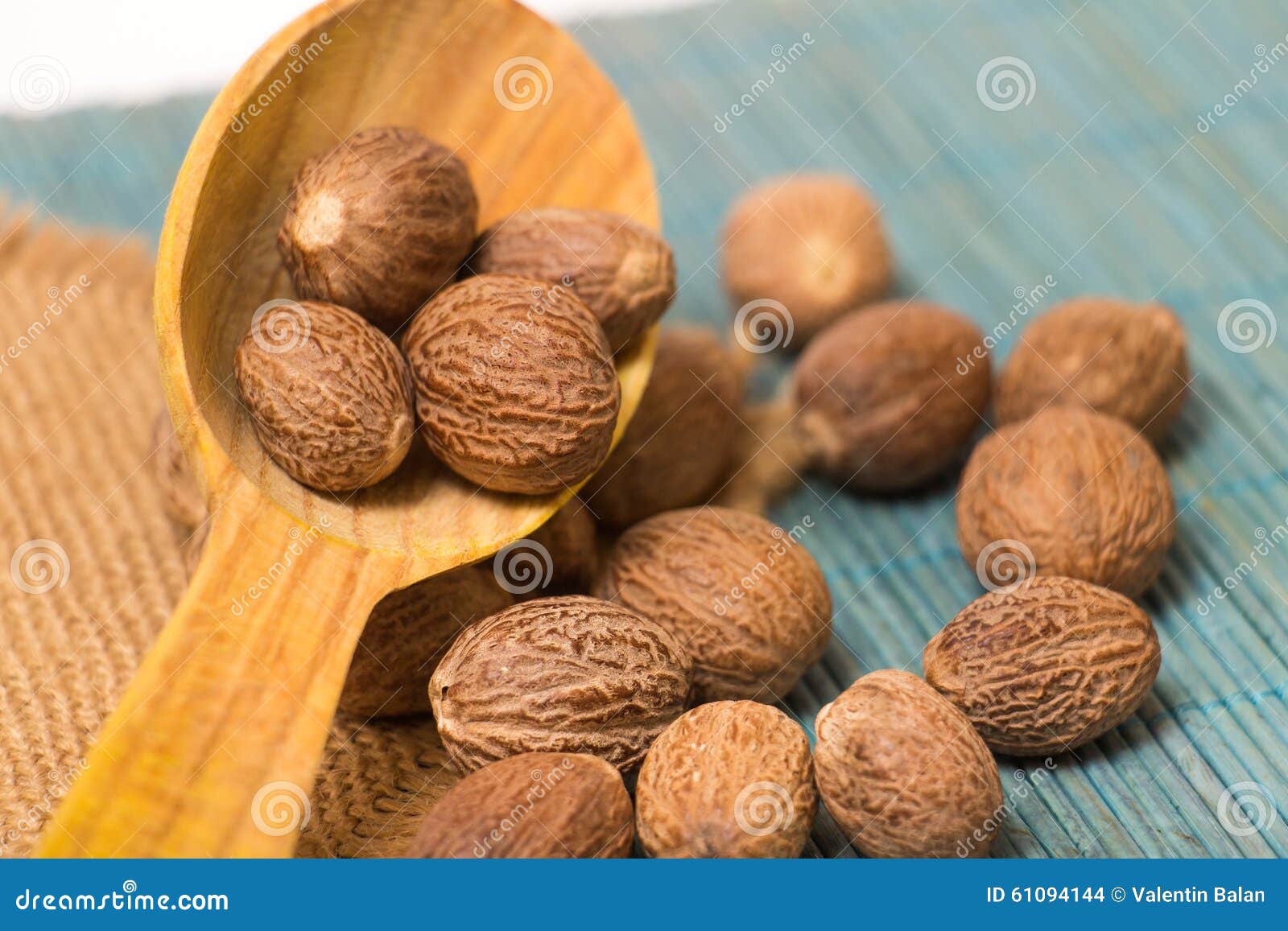 Noix de muscade photo stock. Image du partie, centrale - 61094144