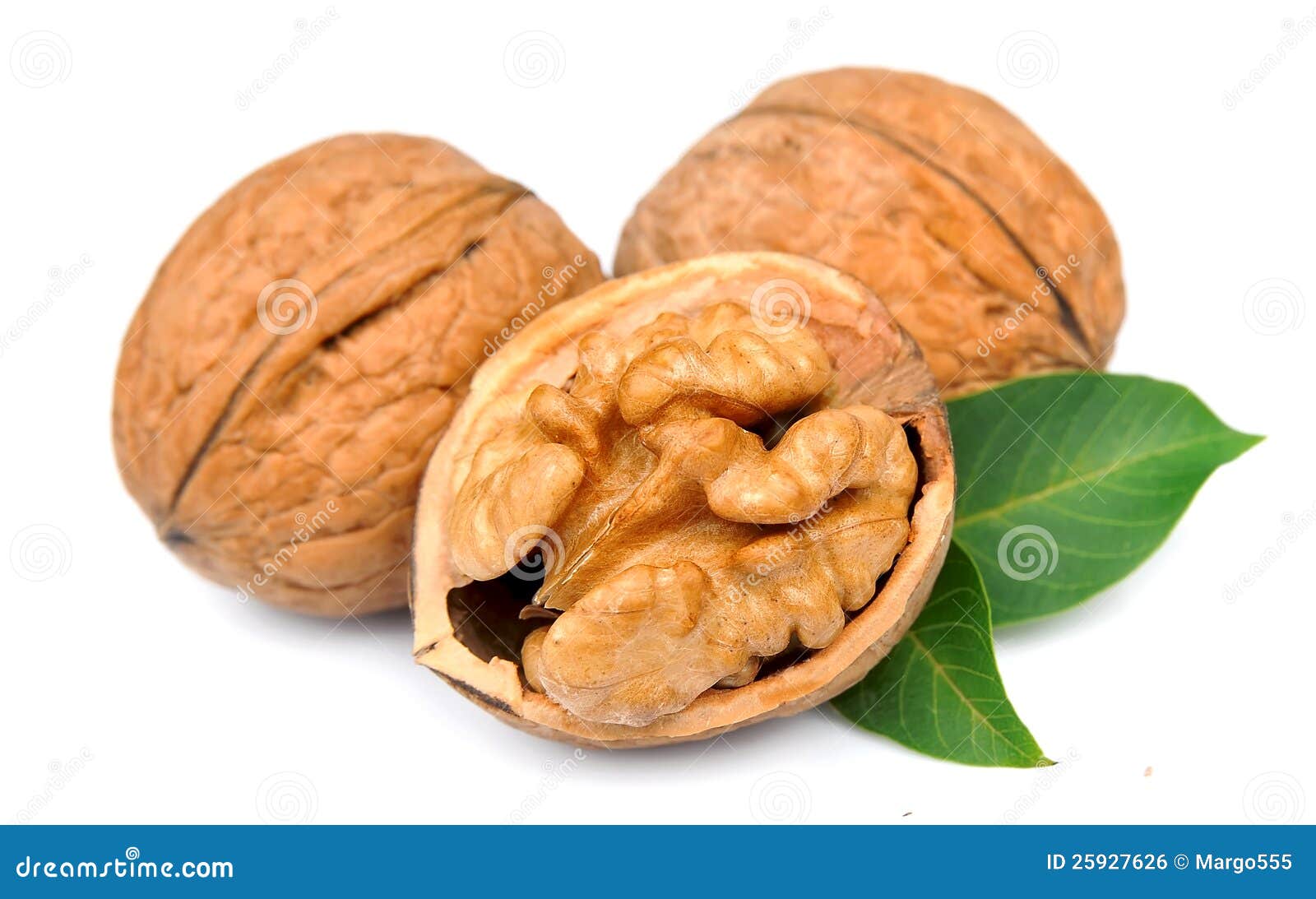 Noix sèches avec des lames photo stock. Image du fruits - 25927626