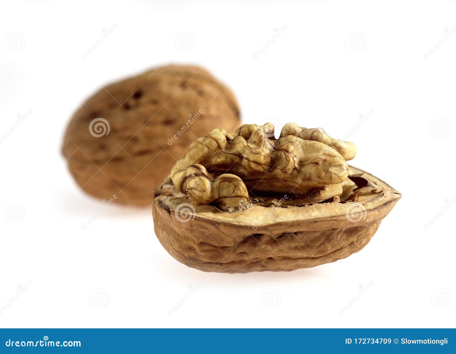 NOIX stock image. Image of walnut, life, fruit, shot - 172734709