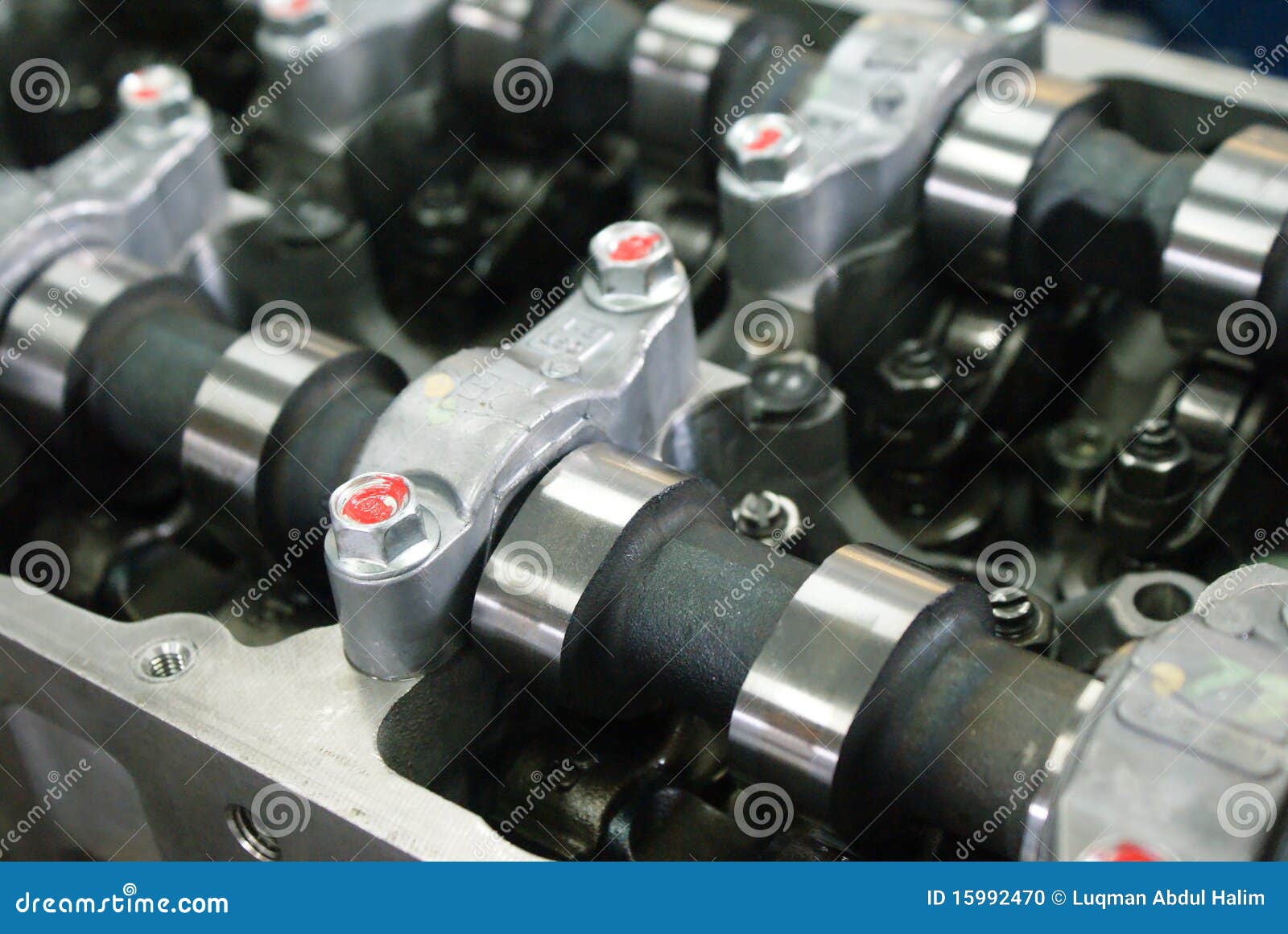 Nokkenas stock foto. Image of kettingen, toestellen, tand - 15992470