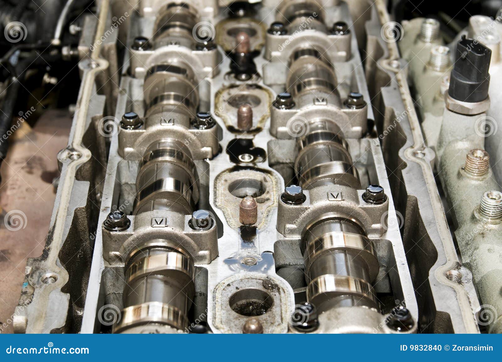 Nokkenas stock foto. Image of macht, nokkenas, legering - 9832840