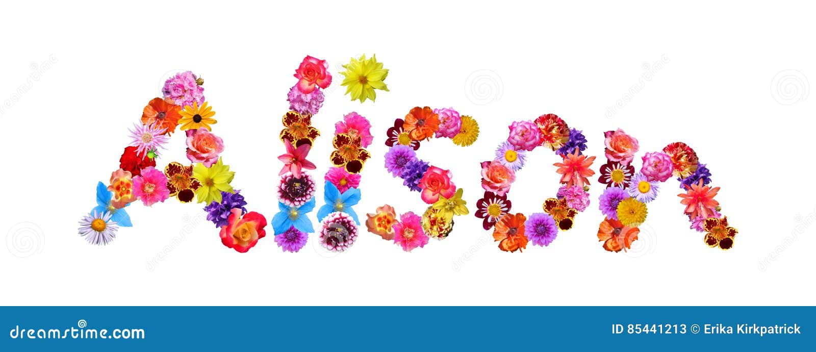 Nom Alison de fleurs illustration stock. Illustration du fond - 85441213