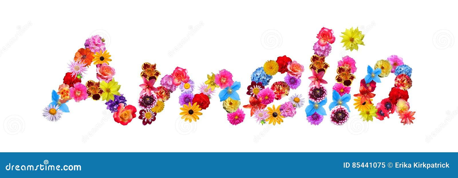 Nom Amelia de fleurs illustration stock. Illustration du conception ...