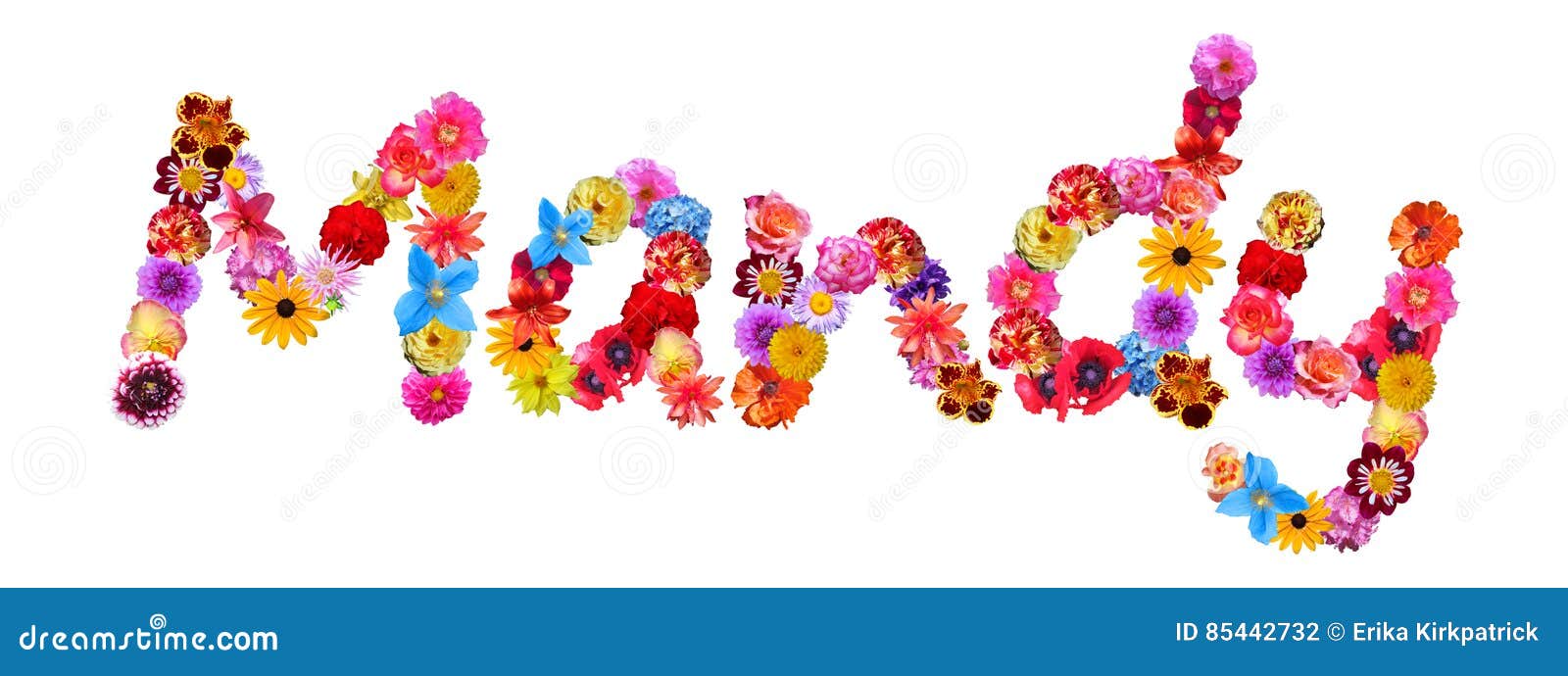 Nom Mandy de fleurs illustration stock. Illustration du fleur - 85442732