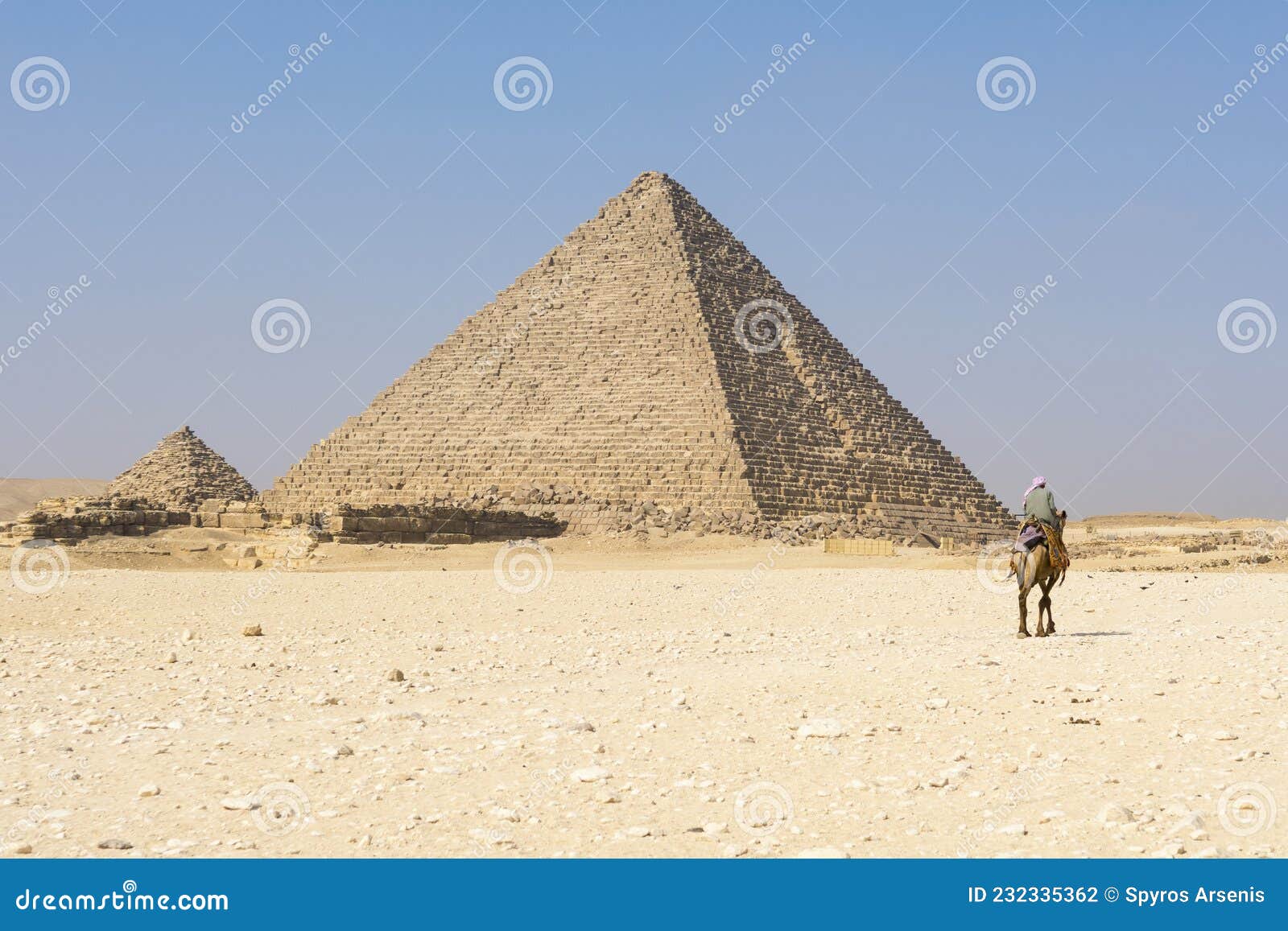 Nomad on a Camel in the Complex of Pyramids of Giza, Egypt Stock Photo ...