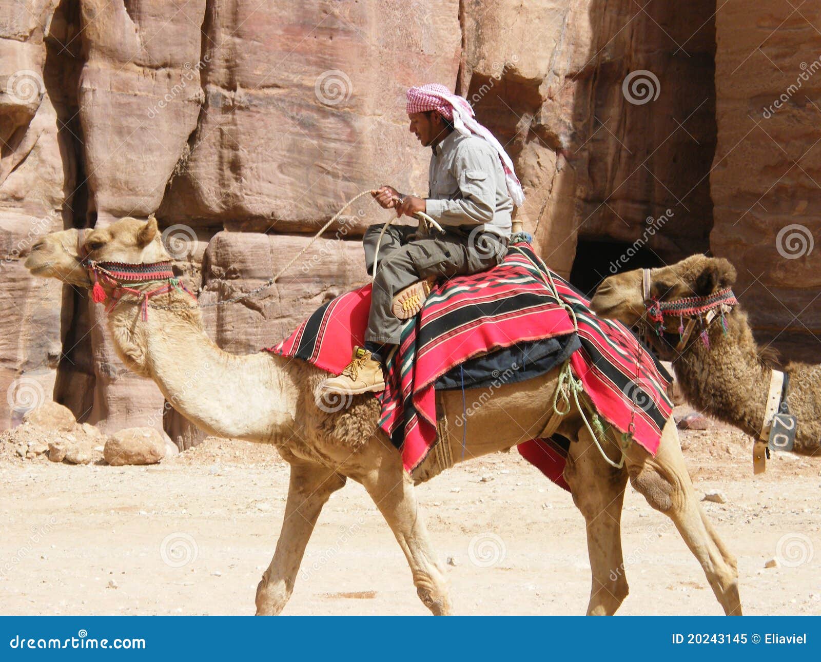 Nomad in the desert editorial image. Image of arab, nomad - 20243145