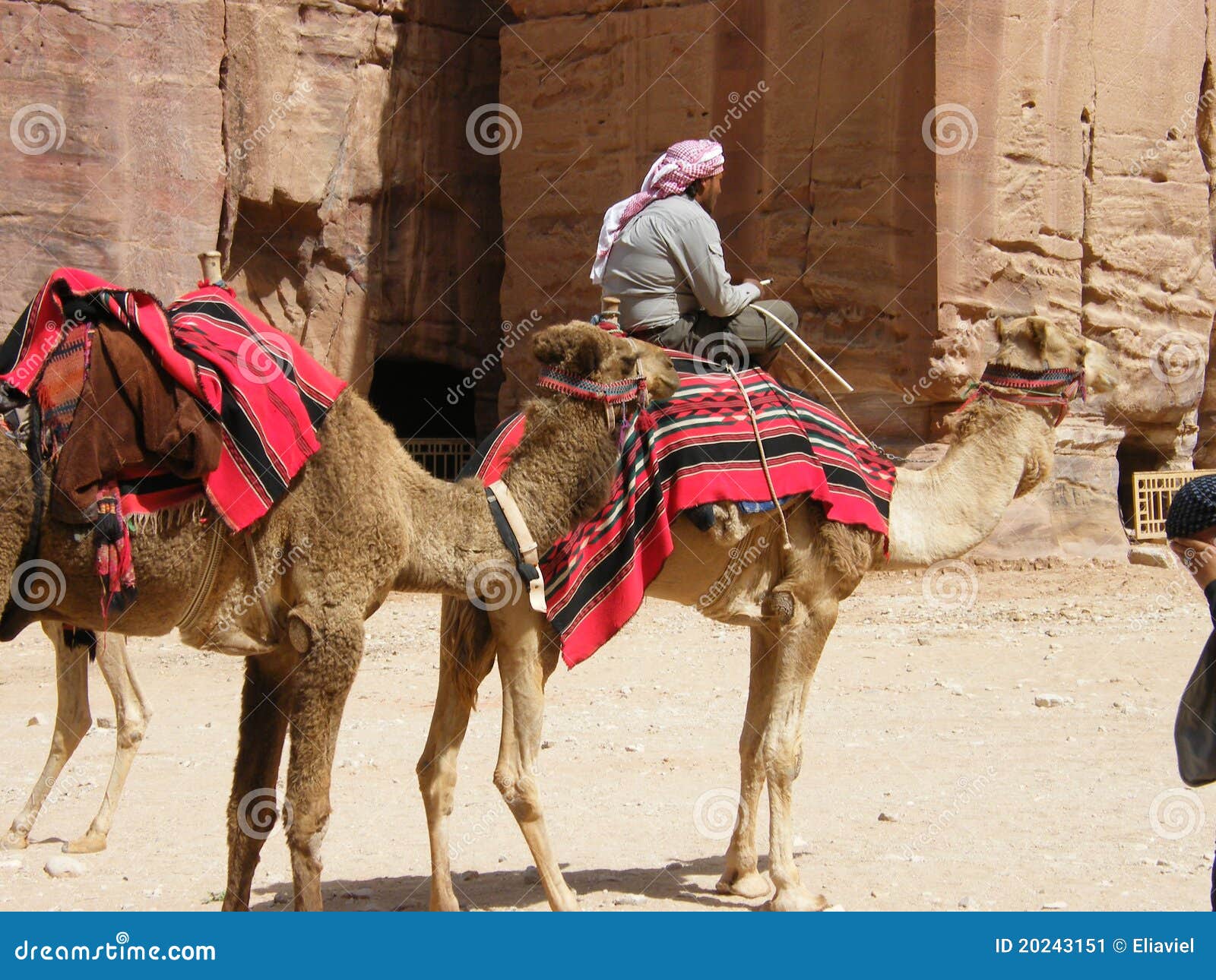 Nomad in the desert editorial photo. Image of oriental - 20243151