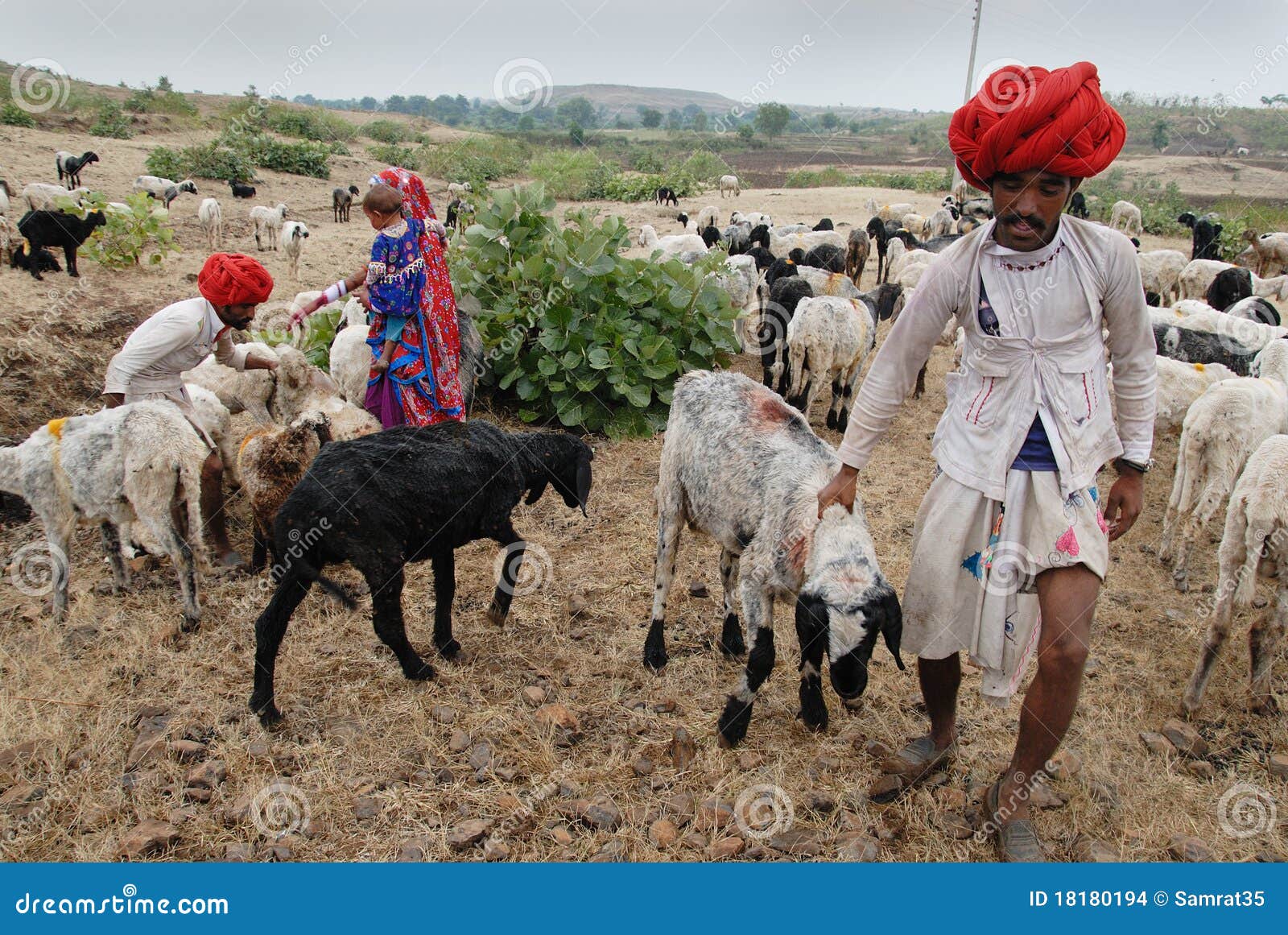 Nomad People in India editorial stock image. Image of pradesh - 18180194