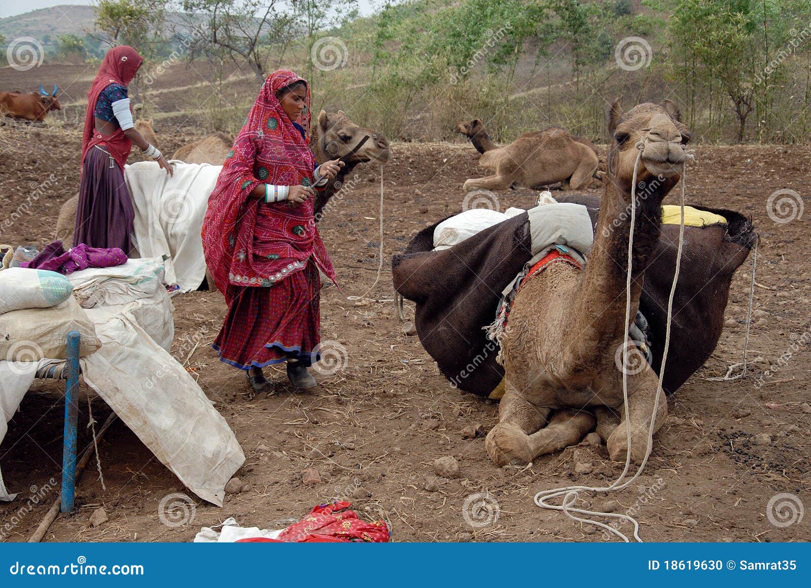 Nomad People in India editorial image. Image of camel - 18619630