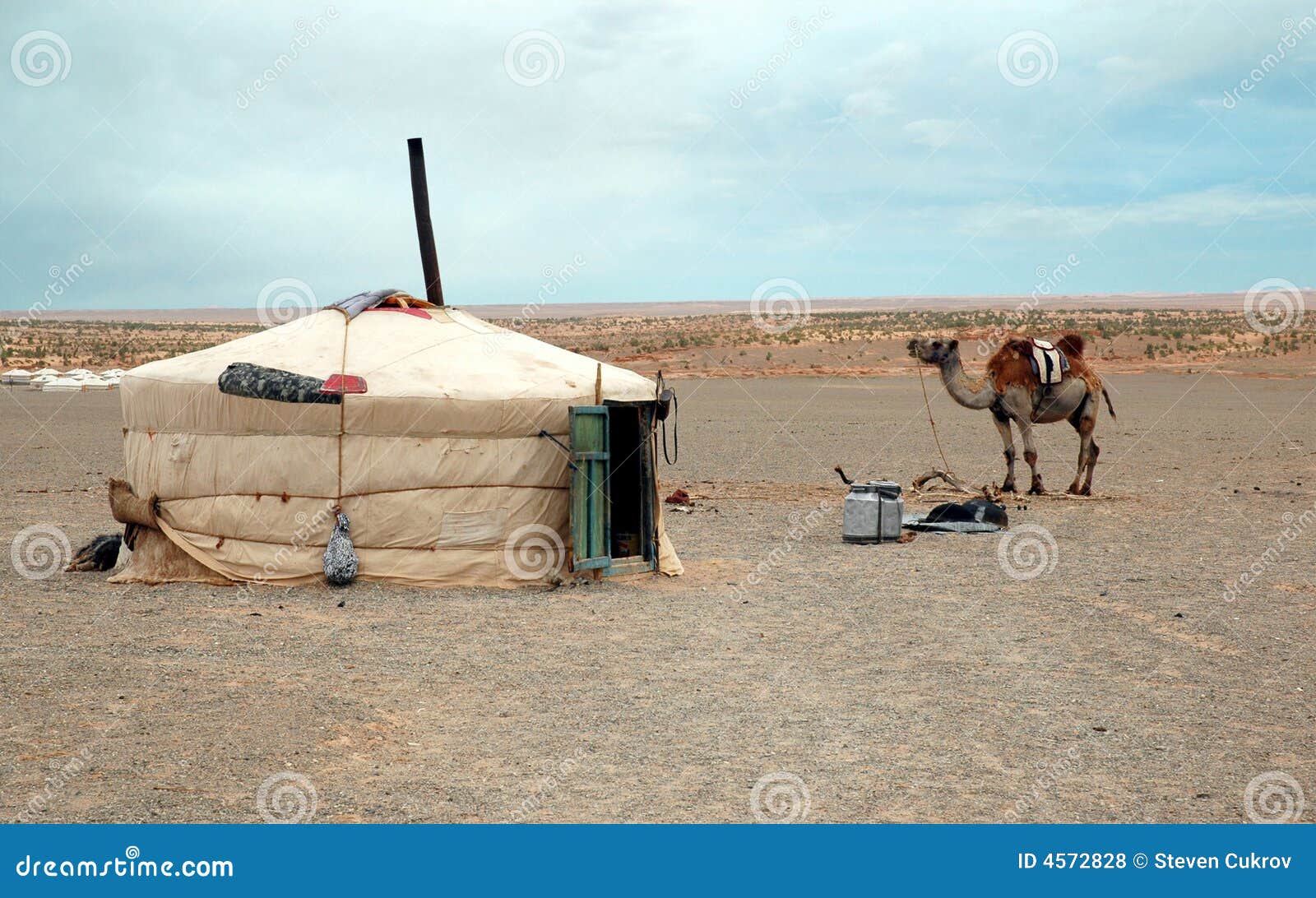 Nomad Tent and Camel stock photo. Image of asia, arid - 4572828