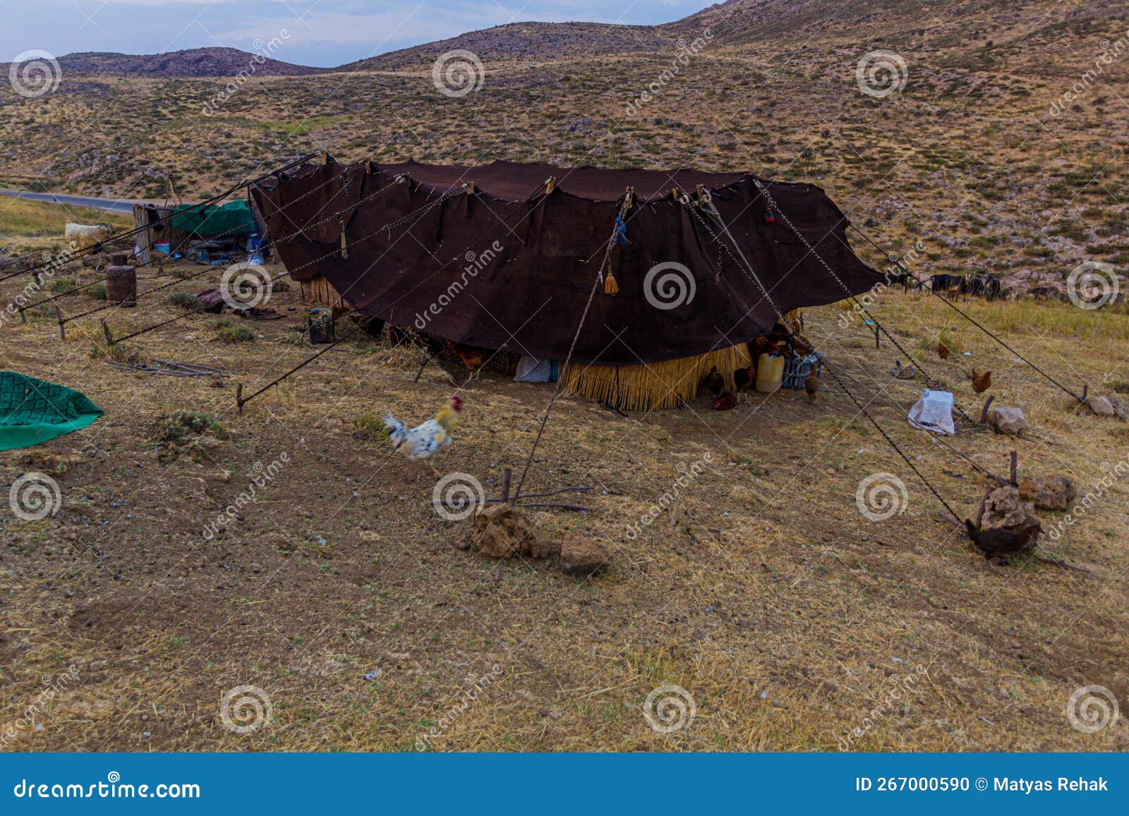 Nomad Tent in Zagros Mountains, Ir Stock Photo - Image of lifestyle ...