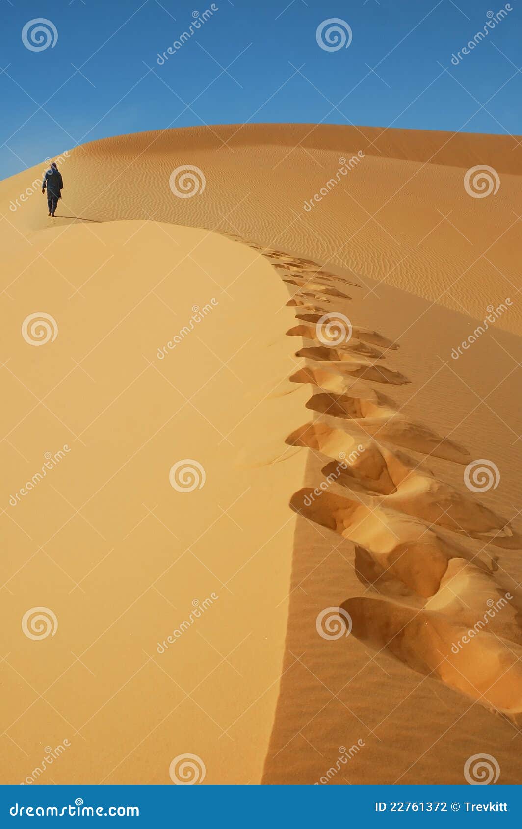 Nomad Walking Up a Sand Dune in the Sahara Stock Photo - Image of ...