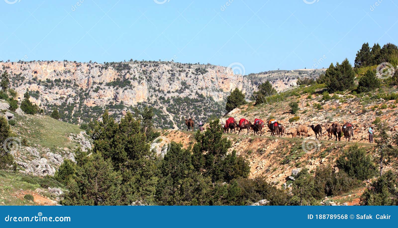 Nomadic people stock photo. Image of pasture, adult - 188789568