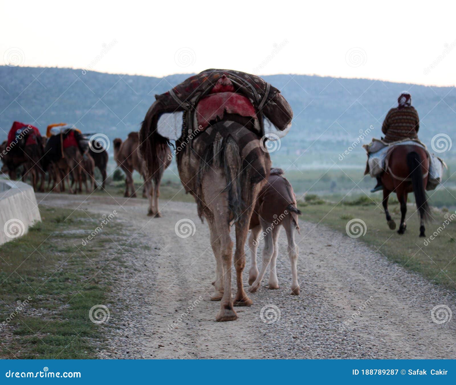 Nomadic people stock image. Image of horse, culture - 188789287