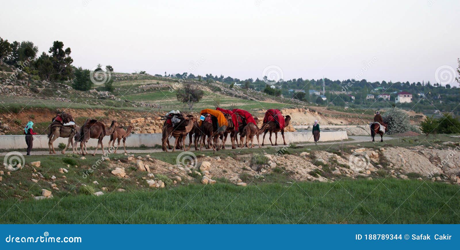 Nomadic people stock photo. Image of lifestyles, females - 188789344