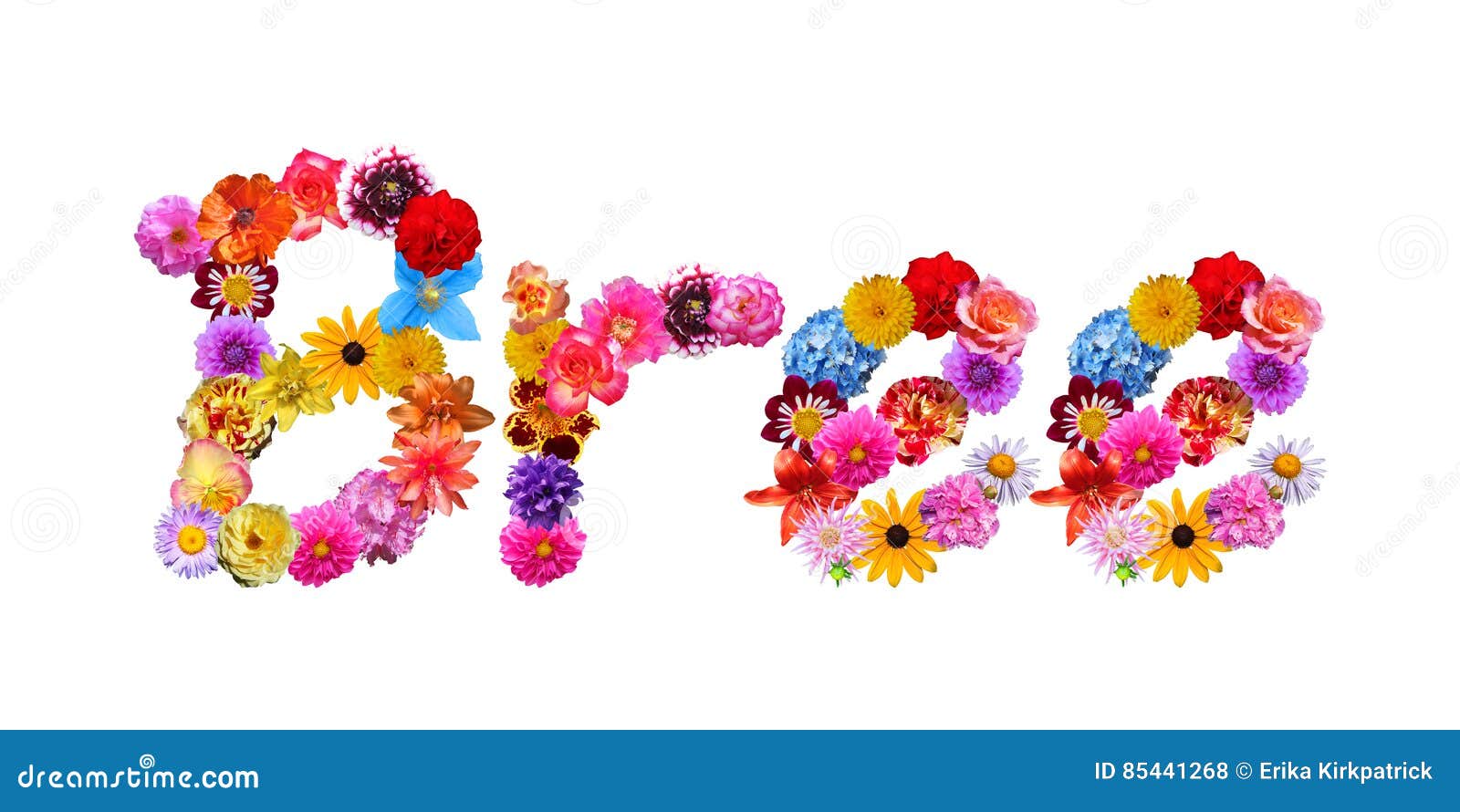 Nombre Bree de las flores stock de ilustración. Ilustración de color - 85441268