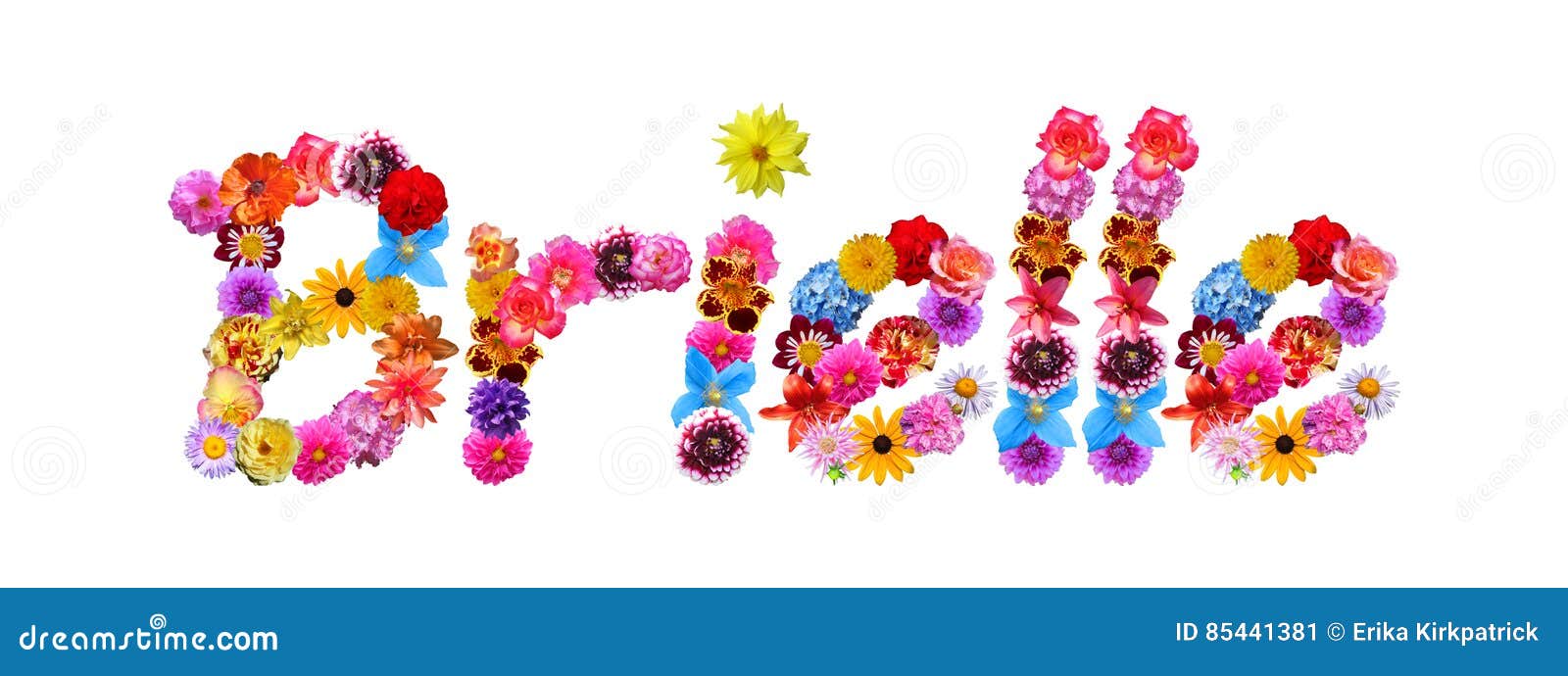 Nombre Brielle De Las Flores Stock de ilustración - Ilustración de azul ...