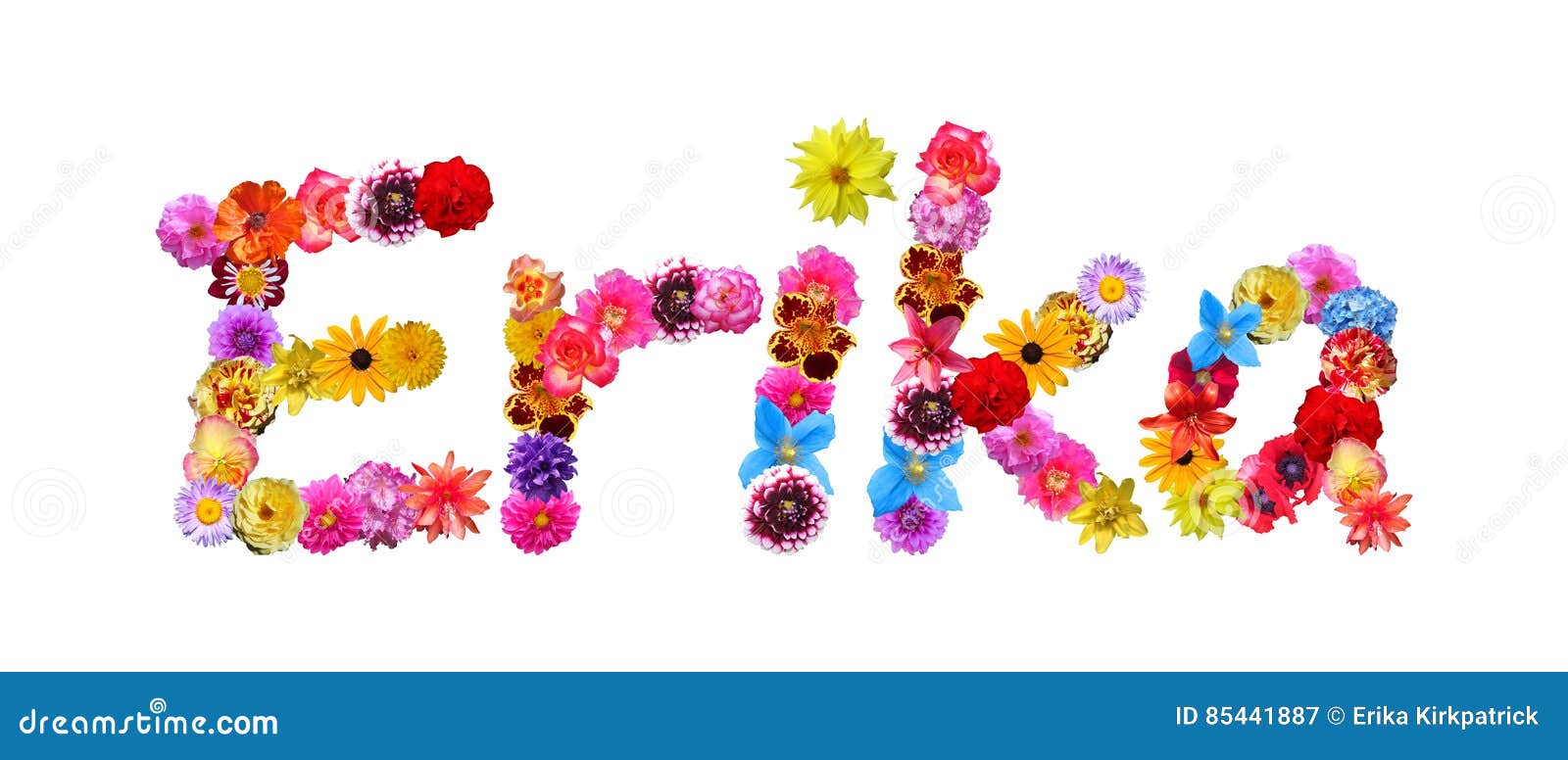 Nombre Erika de las flores stock de ilustración. Ilustración de cubo ...