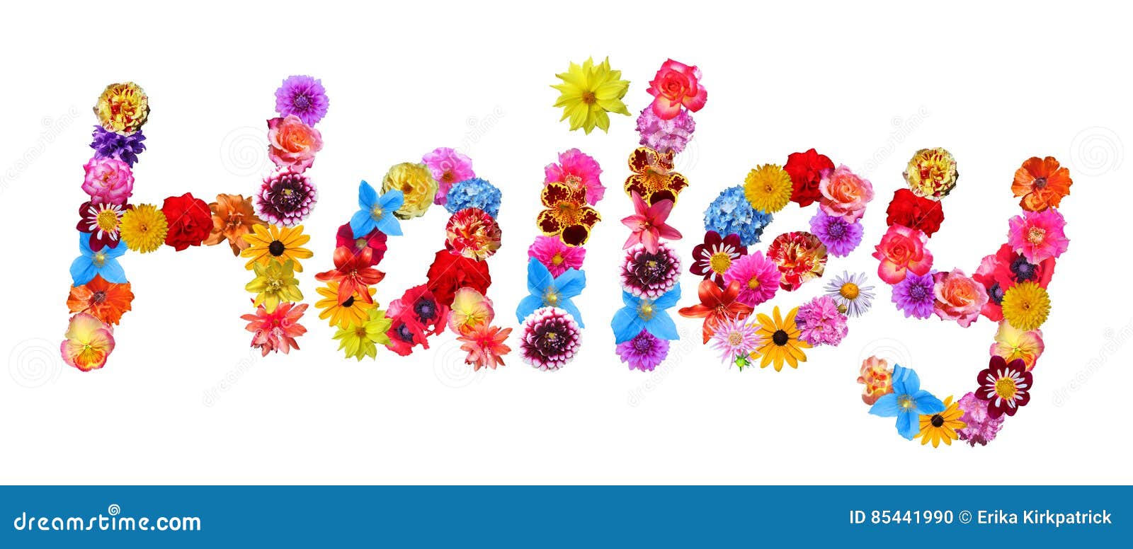 Nombre Hailey De Las Flores Stock de ilustración - Ilustración de ...