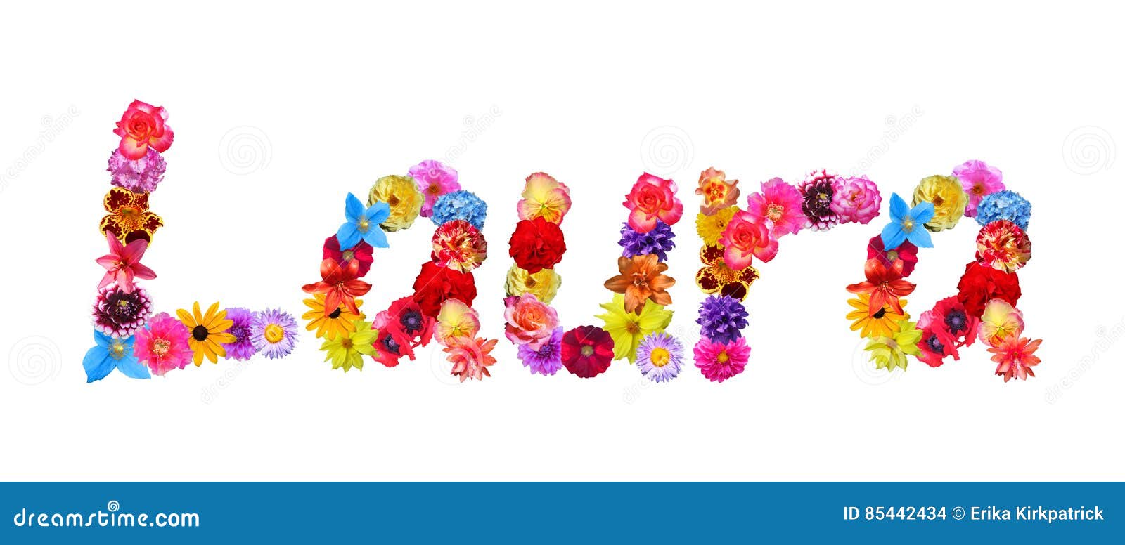 Nombre Laura de las flores stock de ilustración. Ilustración de ...