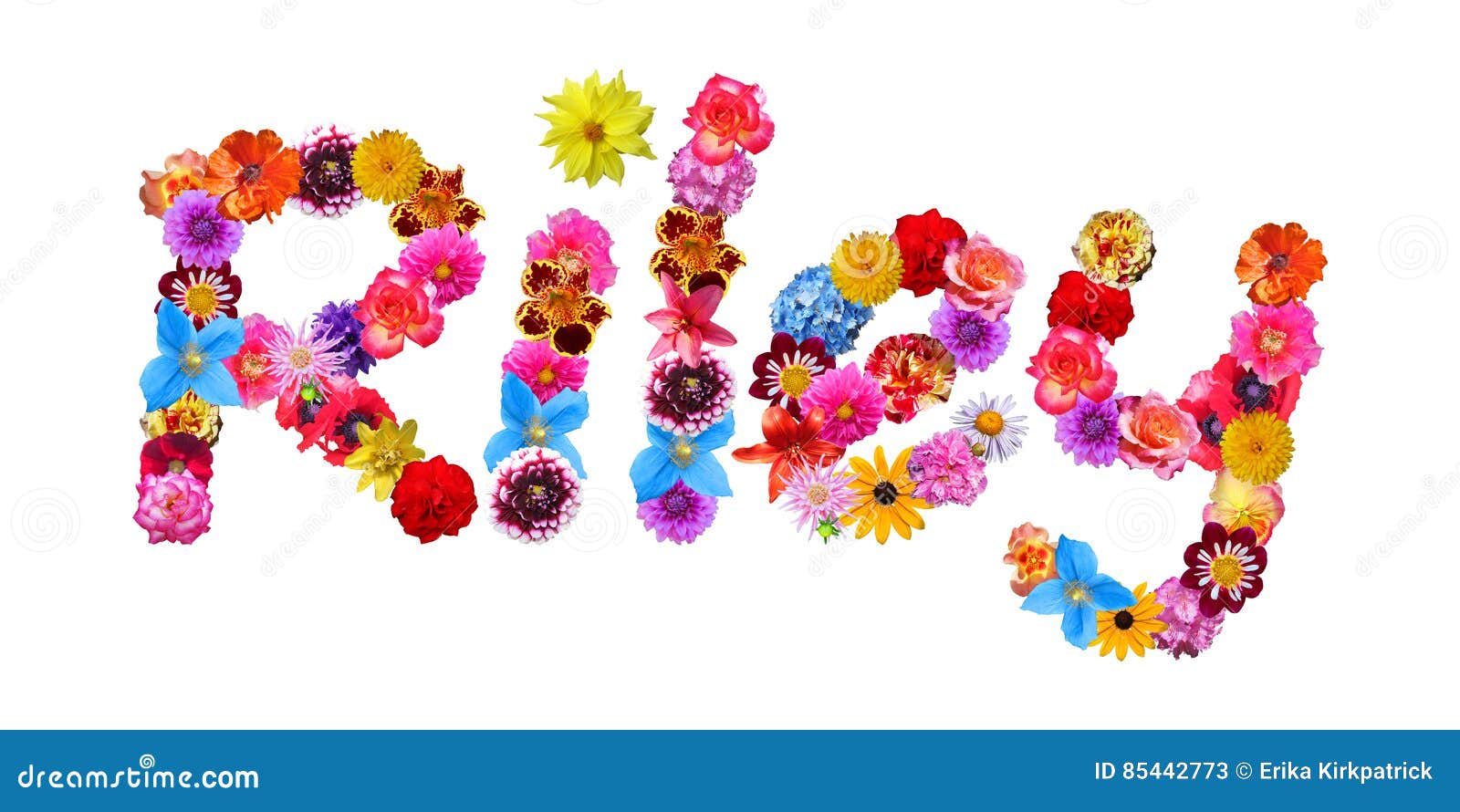 Nombre Riley de las flores stock de ilustración. Ilustración de carta ...