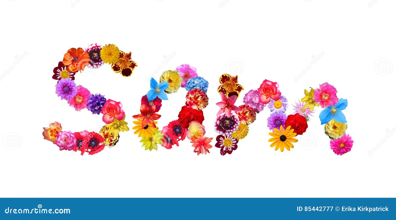 Nombre Sam de las flores stock de ilustración. Ilustración de floral ...