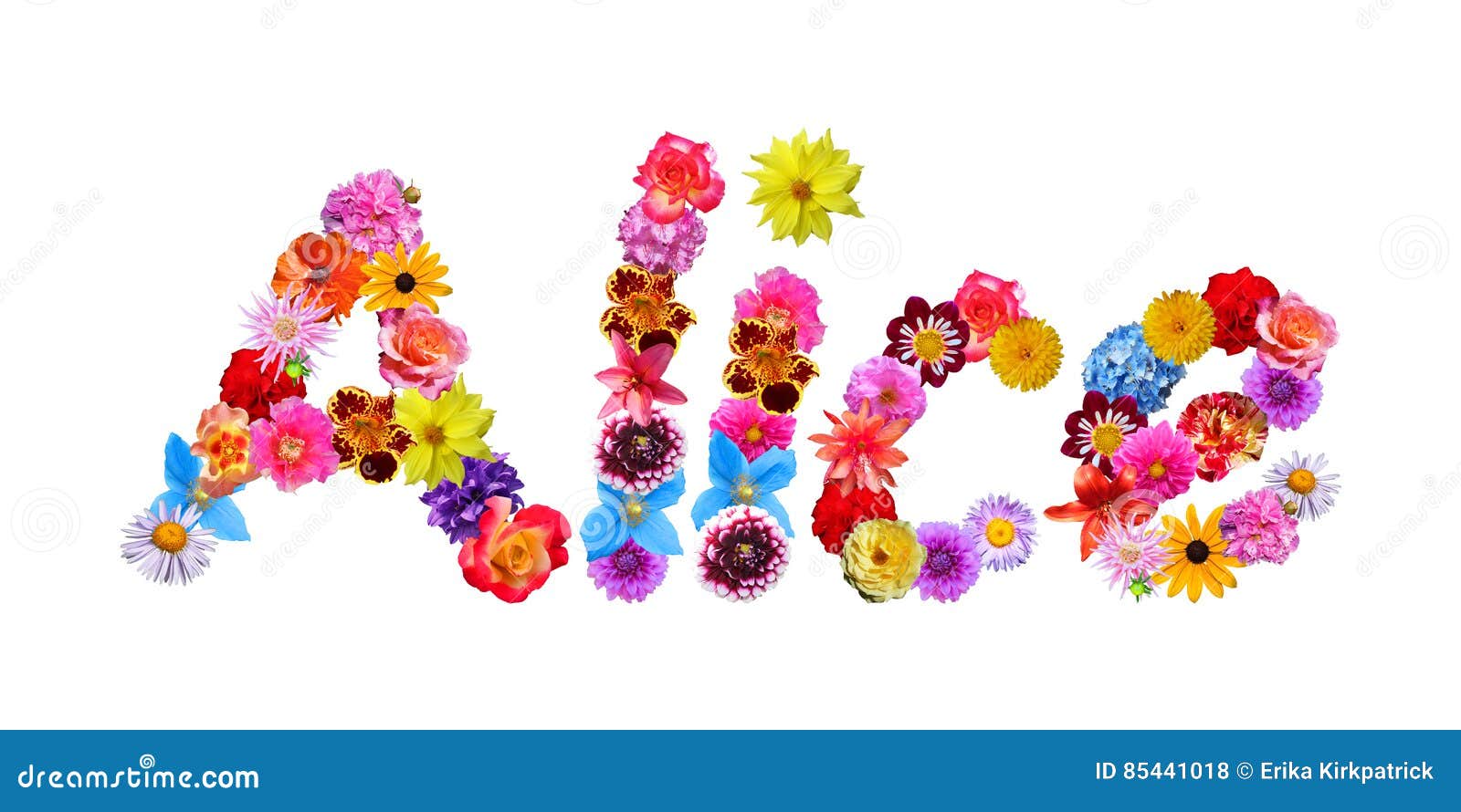 Nome Alice das flores ilustração stock. Ilustração de bandeira - 85441018