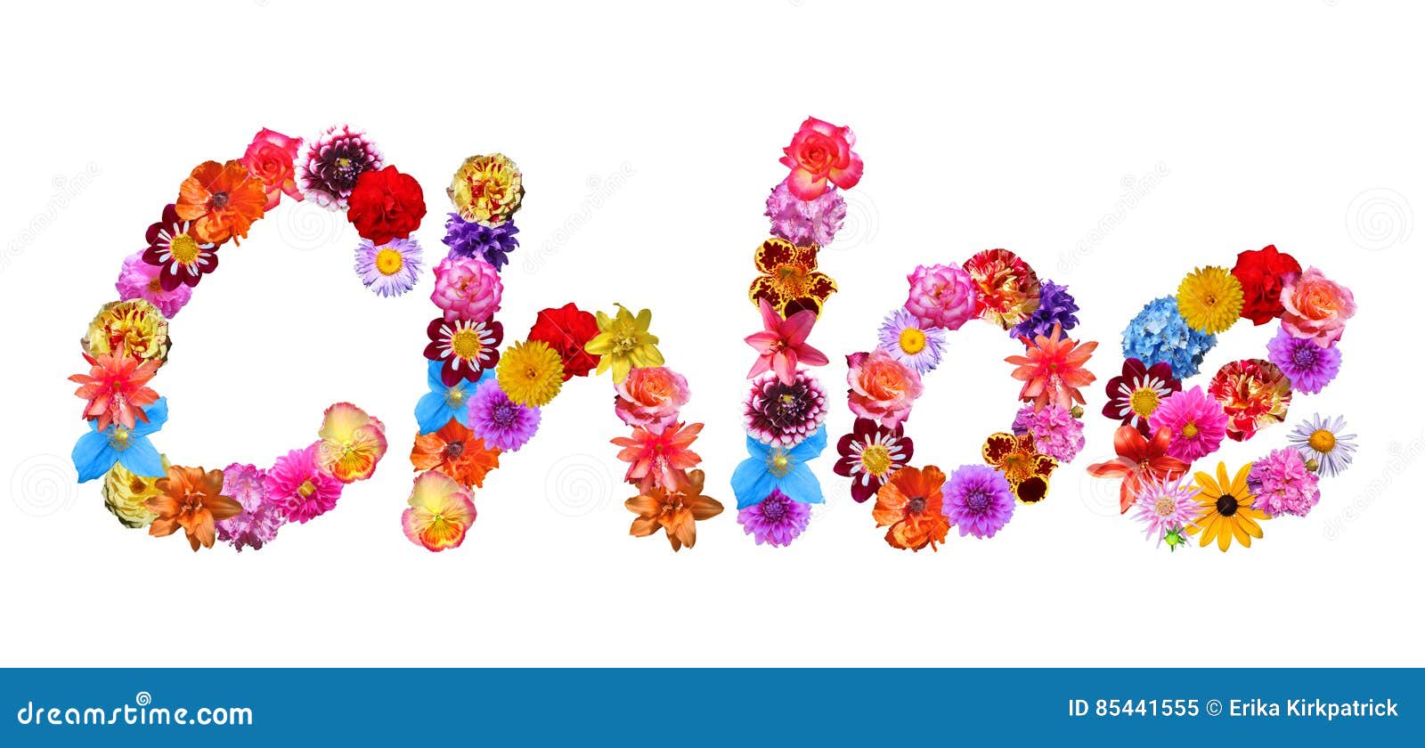 Nome Chloe das flores ilustração stock. Ilustração de projeto - 85441555