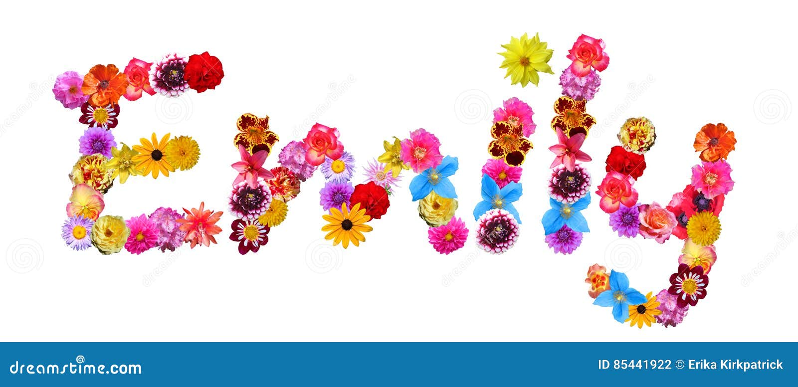 Nome Emily das flores ilustração stock. Ilustração de floral - 85441922