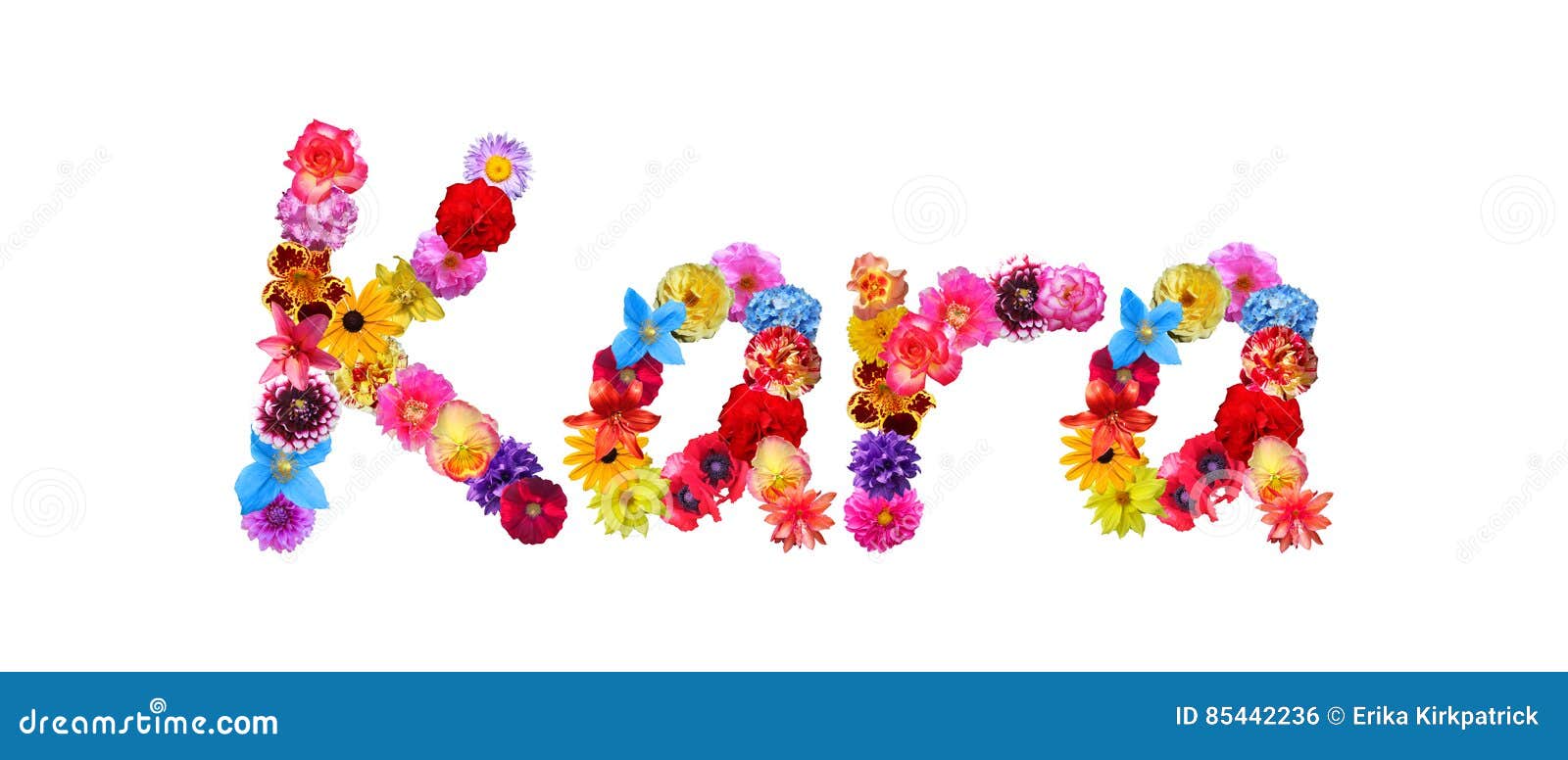 Nome Kara dei fiori illustrazione di stock. Illustrazione di ragazza ...