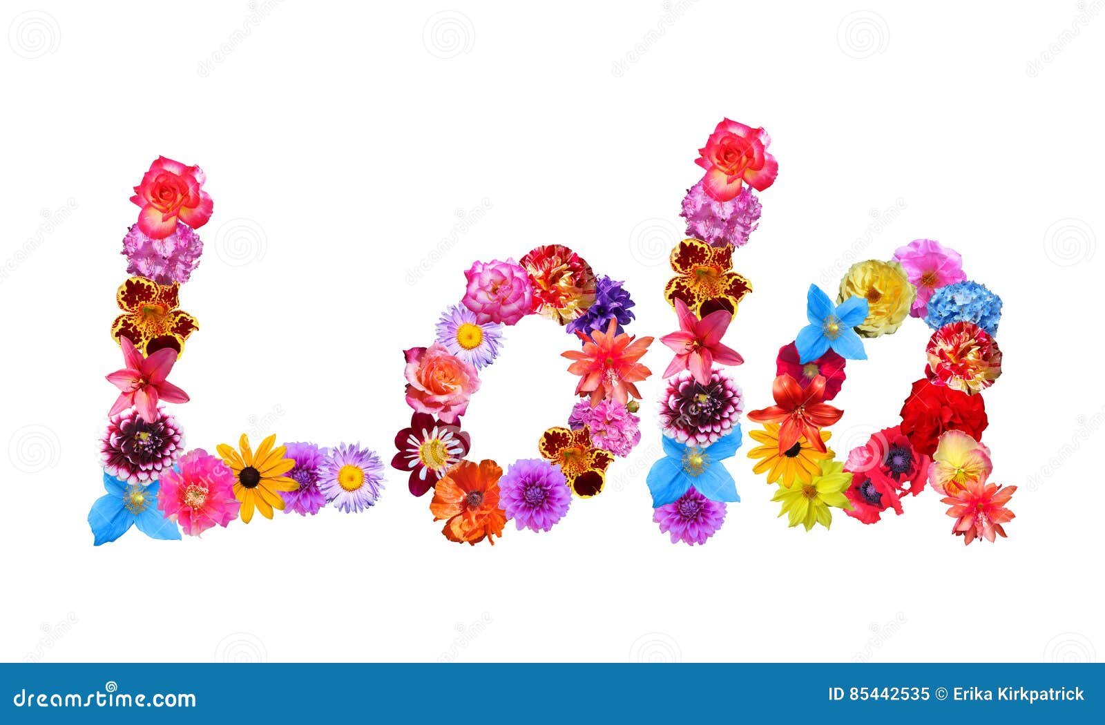 Nome Lola das flores ilustração stock. Ilustração de planta - 85442535