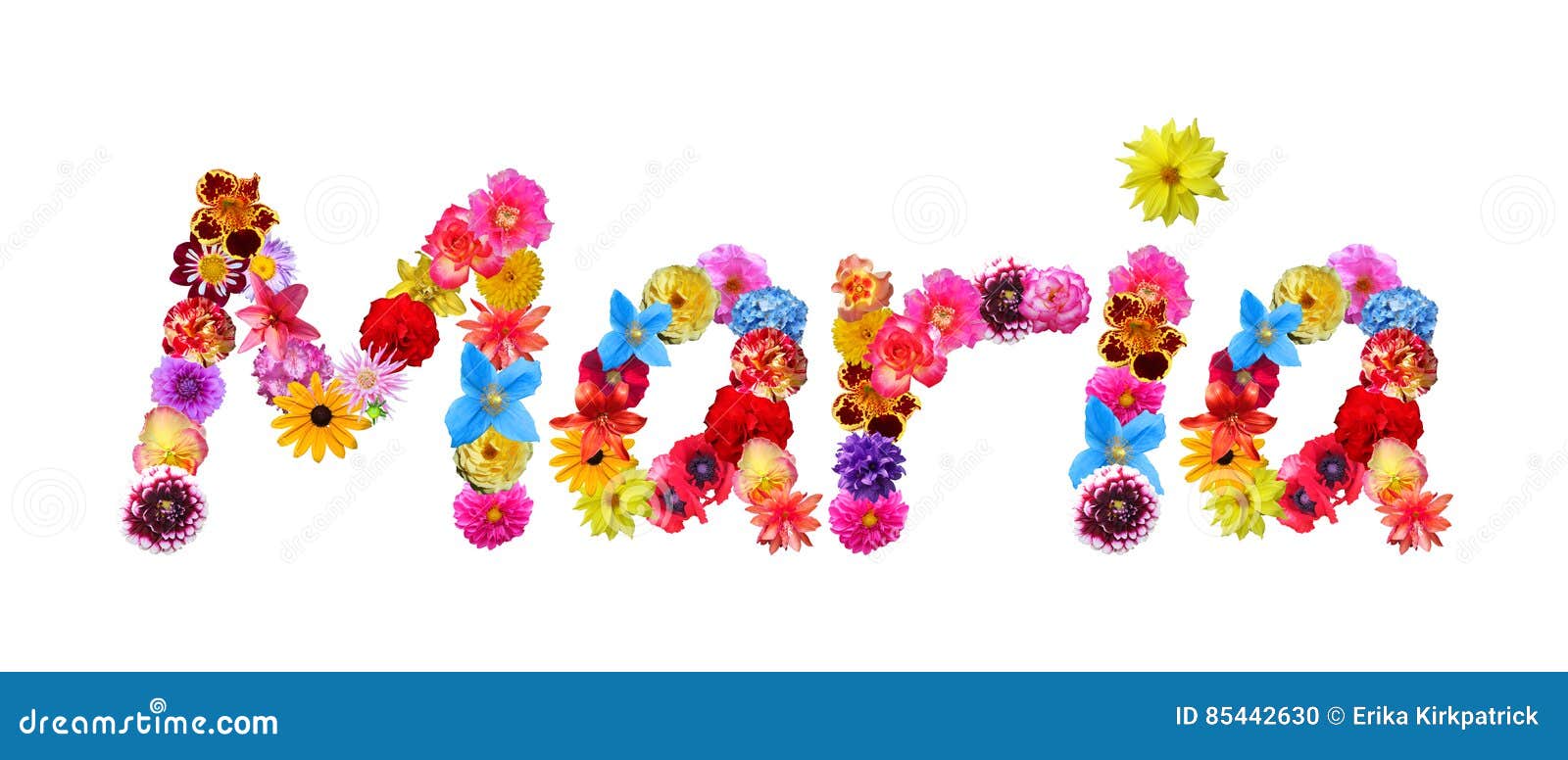 Nome Maria das flores ilustração stock. Ilustração de planta - 85442630