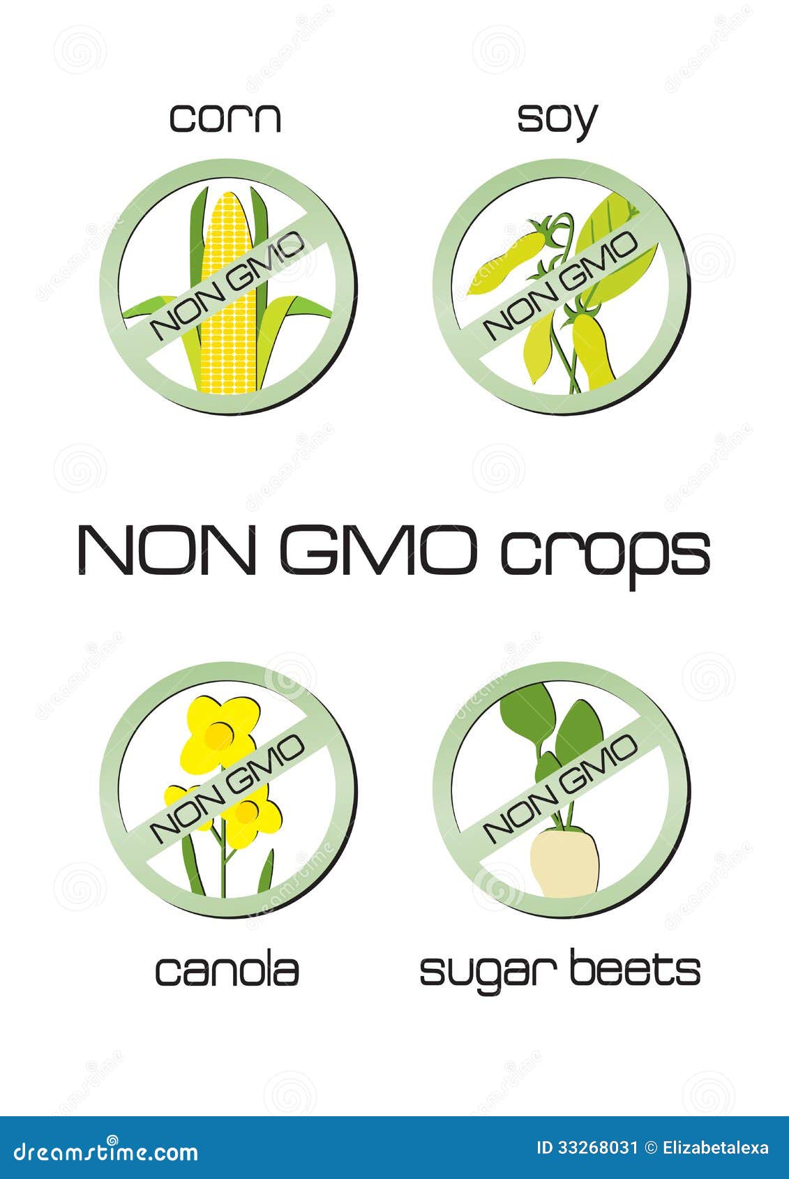 Non GMO Crops Set of Signs: Corn, Soy, Canola, Sug Stock Vector ...