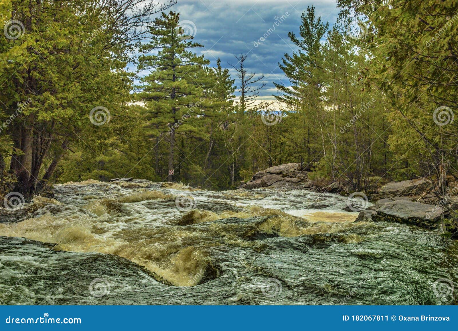 Folls Fotos - Libres de Derechos y Gratuitas de Dreamstime