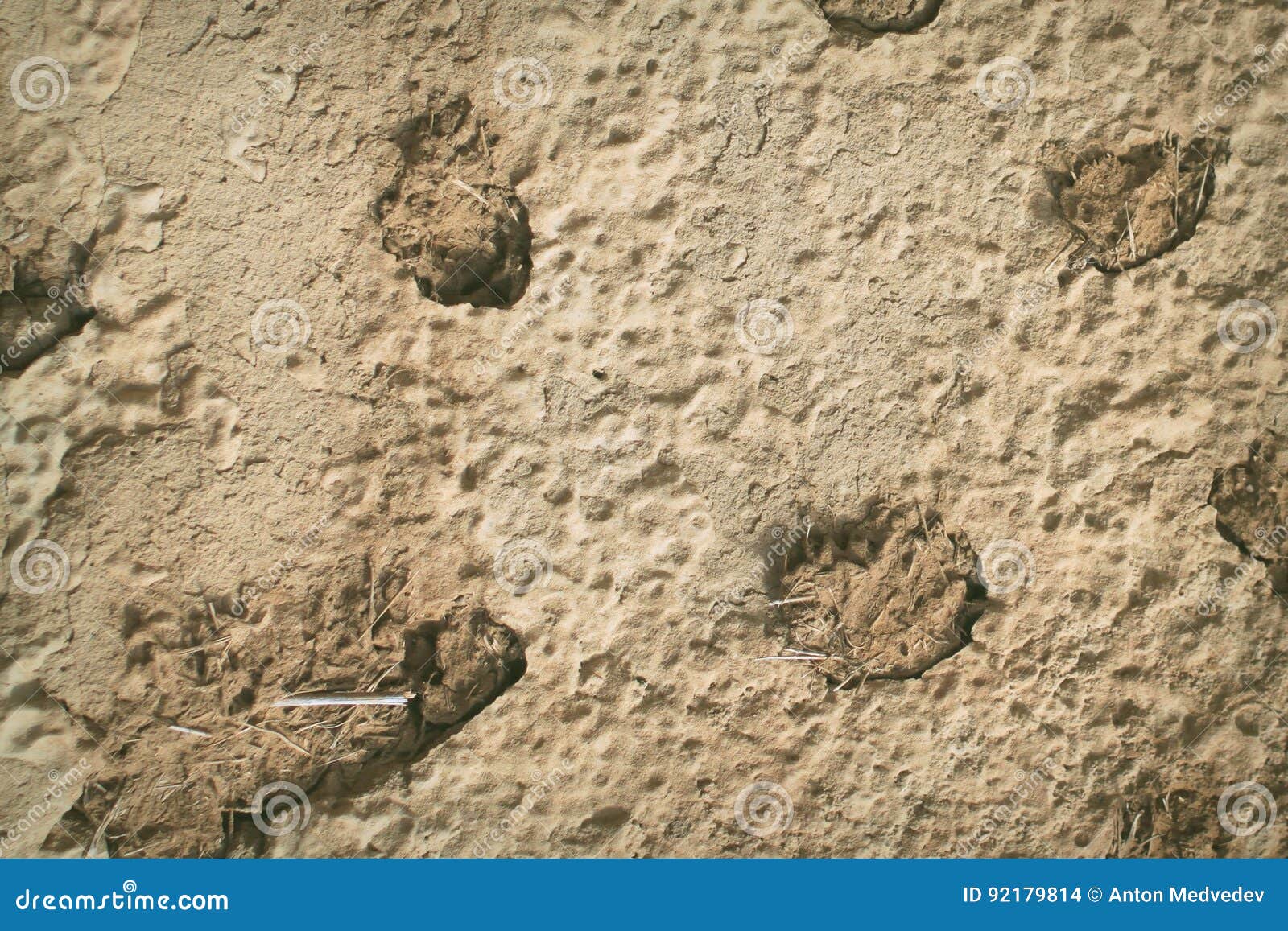 None Aged Stub, Sawed Wood Texture Royalty-Free Stock Photo ...