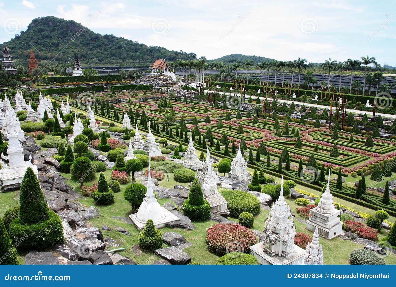 Nong Nooch Tropical Garden stock photo. Image of colourful - 24307834