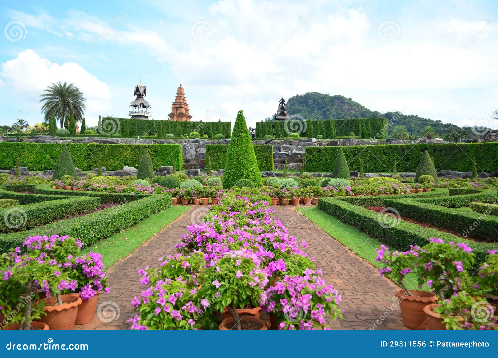Nong Nooch Tropical Garden stock photo. Image of botanic - 29311556