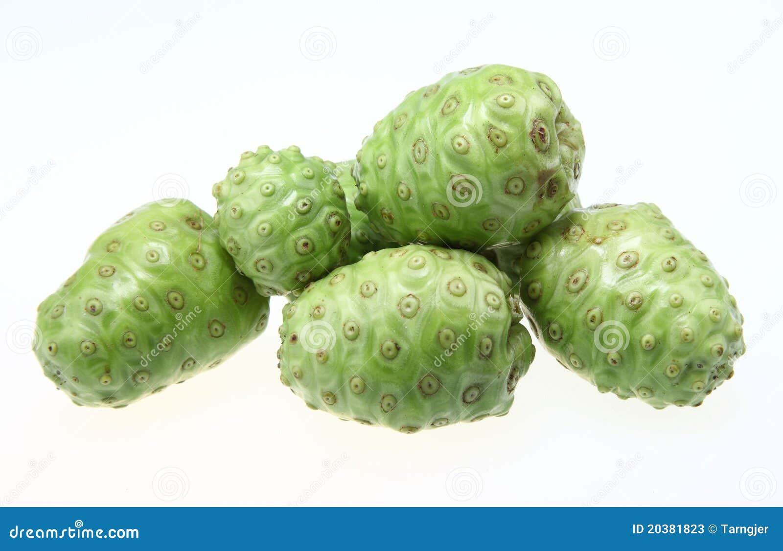 Noni Fruit stock image. Image of tree, carbohydrates - 20381823