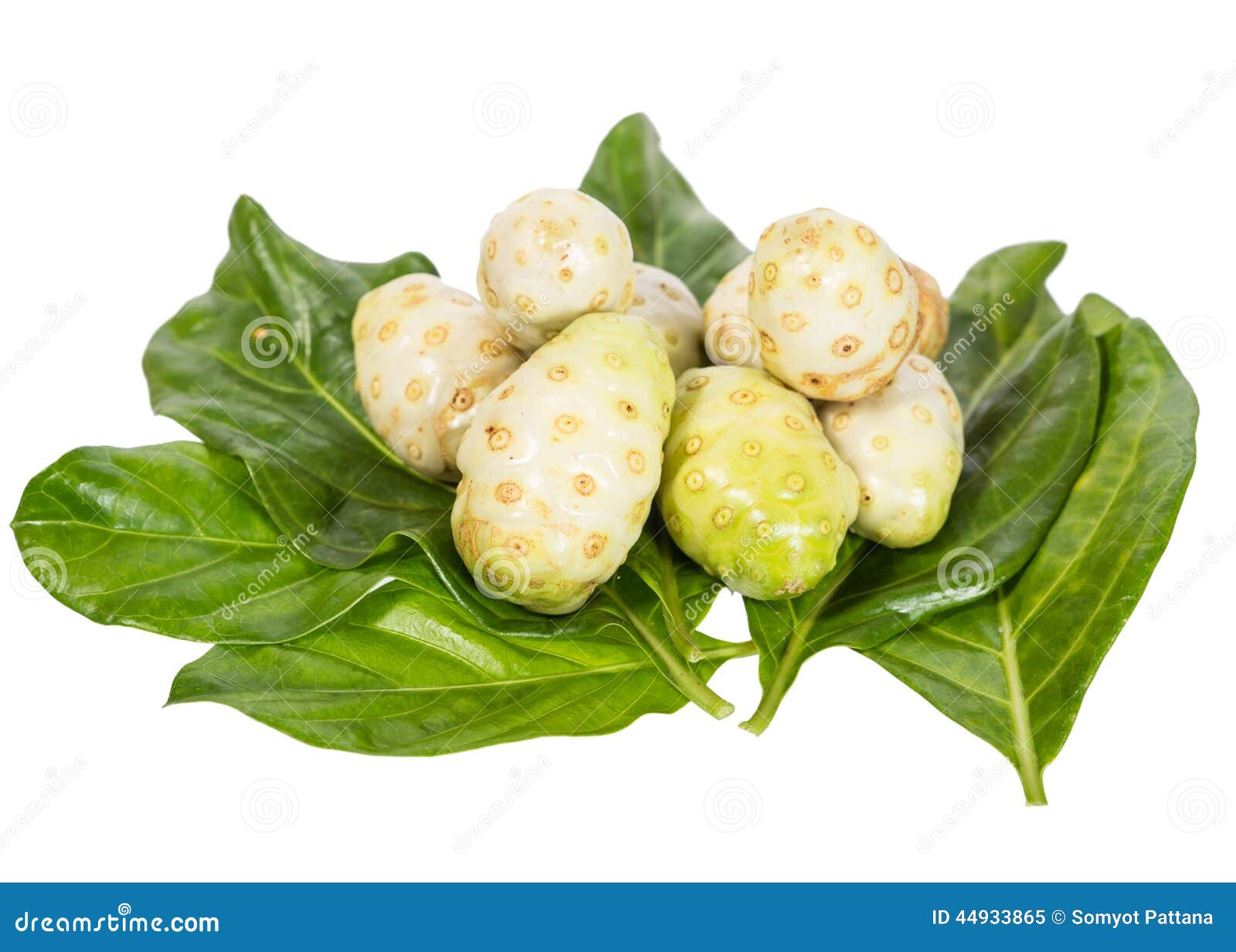 Noni fruit stock image. Image of care, juicy, fruit, nutrition - 44933865