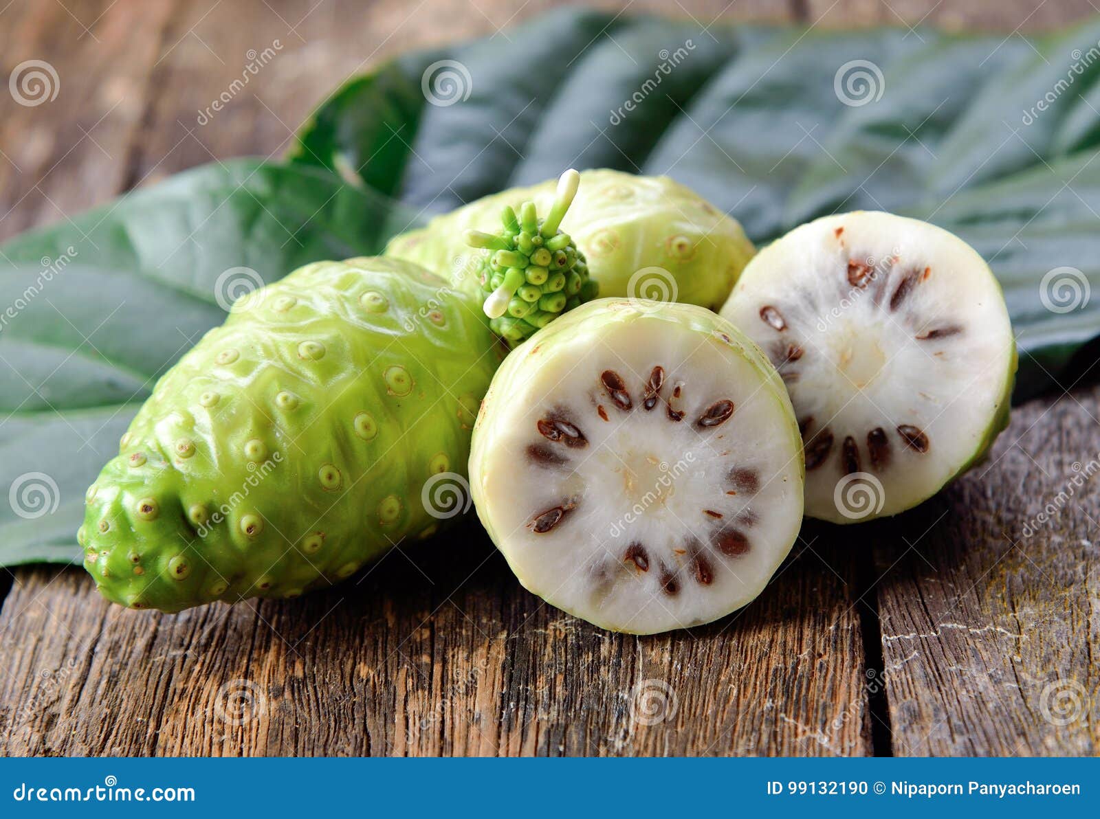 Noni Fruit Royalty-Free Stock Photography | CartoonDealer.com #34969211