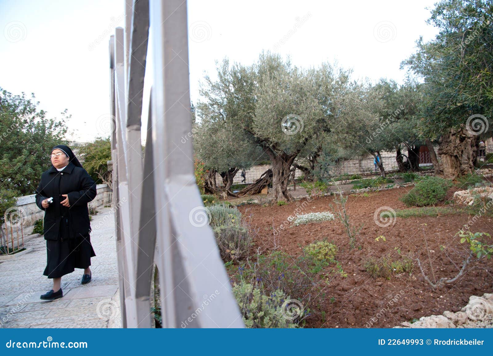 Nonnes Dans Le Jardin De Gethsemane Photo stock éditorial - Image du ...