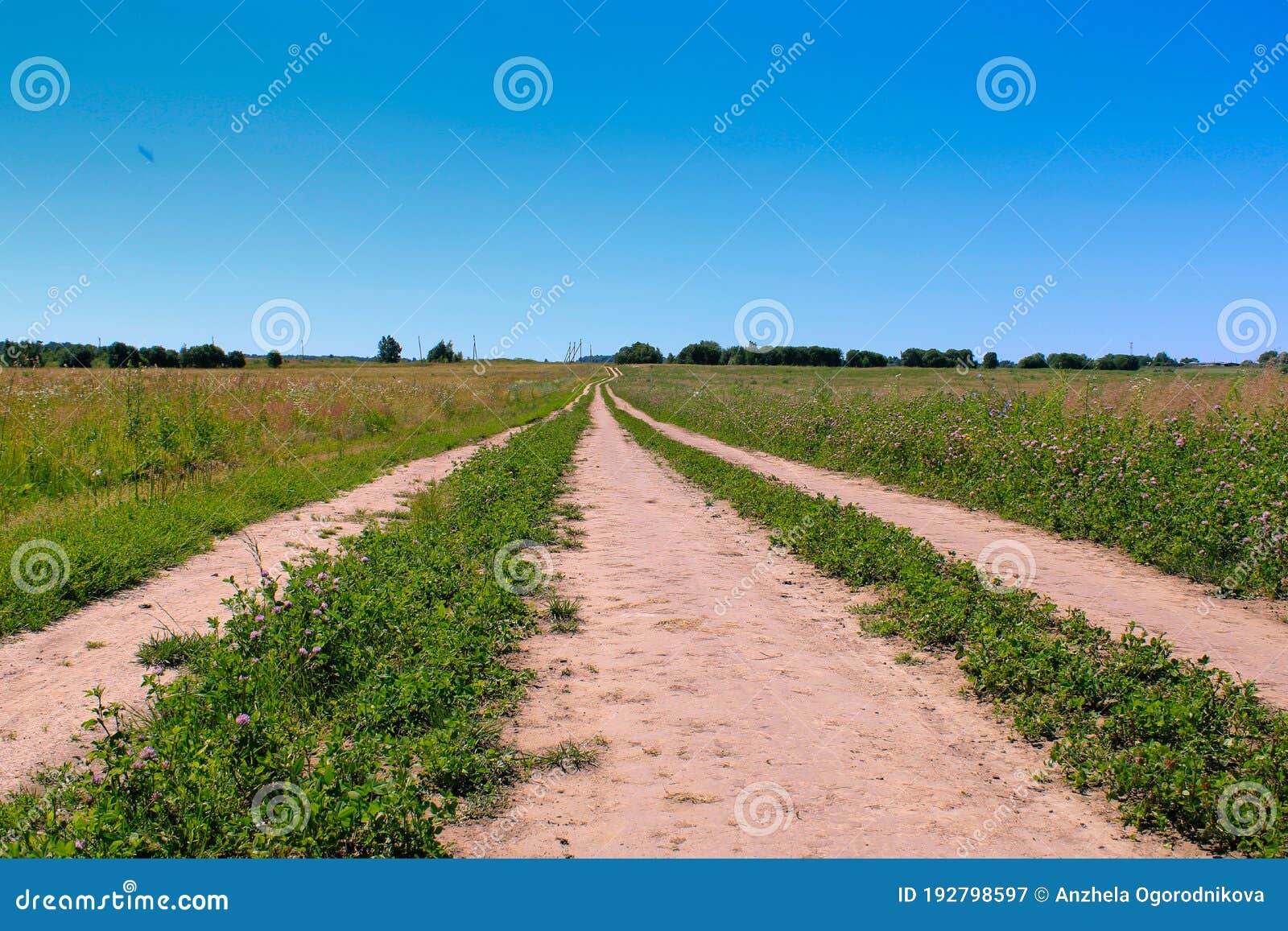 A Straight Road in a Field Going Off into the Distance Stock Image ...